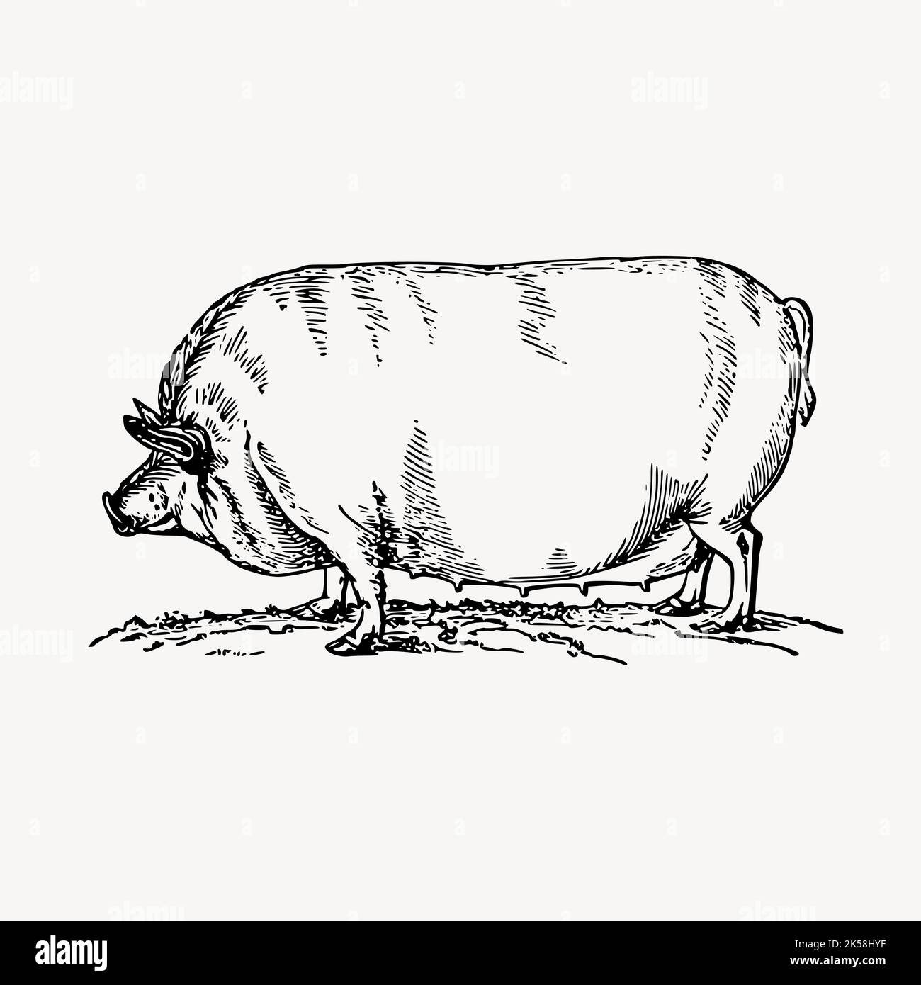 Pig clipart, farm animal illustration vector Stock Vector Image & Art ...