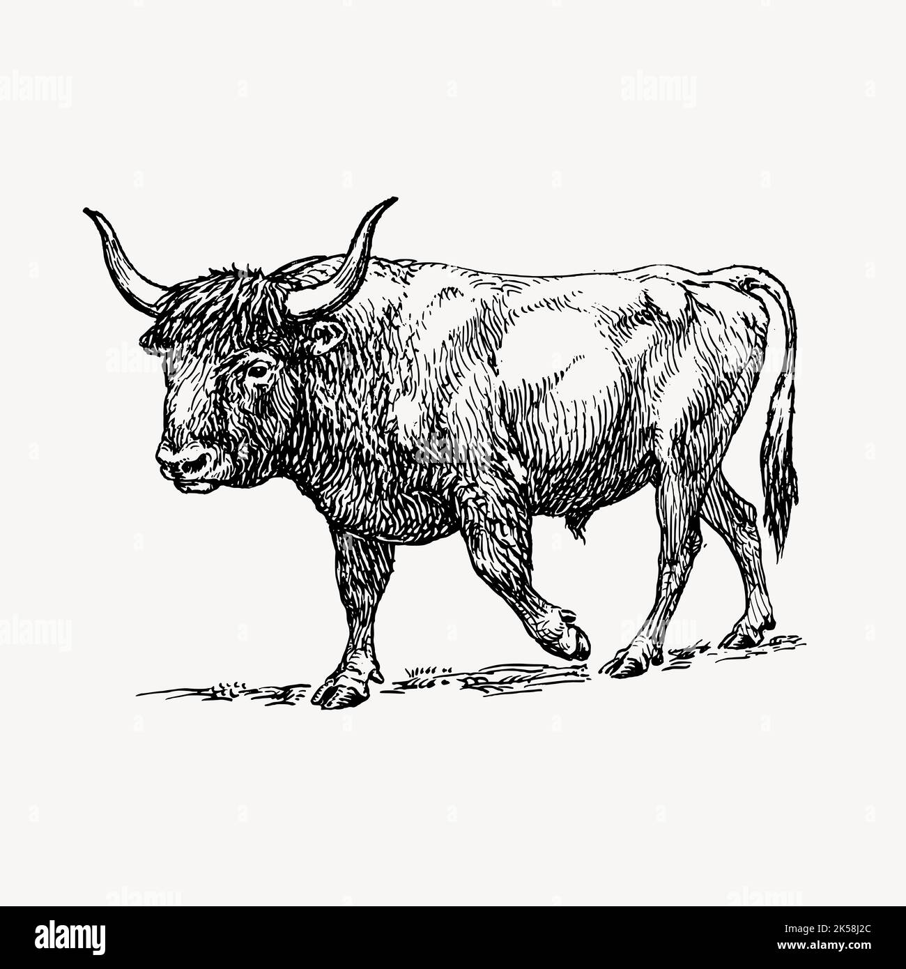 Aurochs vector vectors Stock Vector Images - Alamy