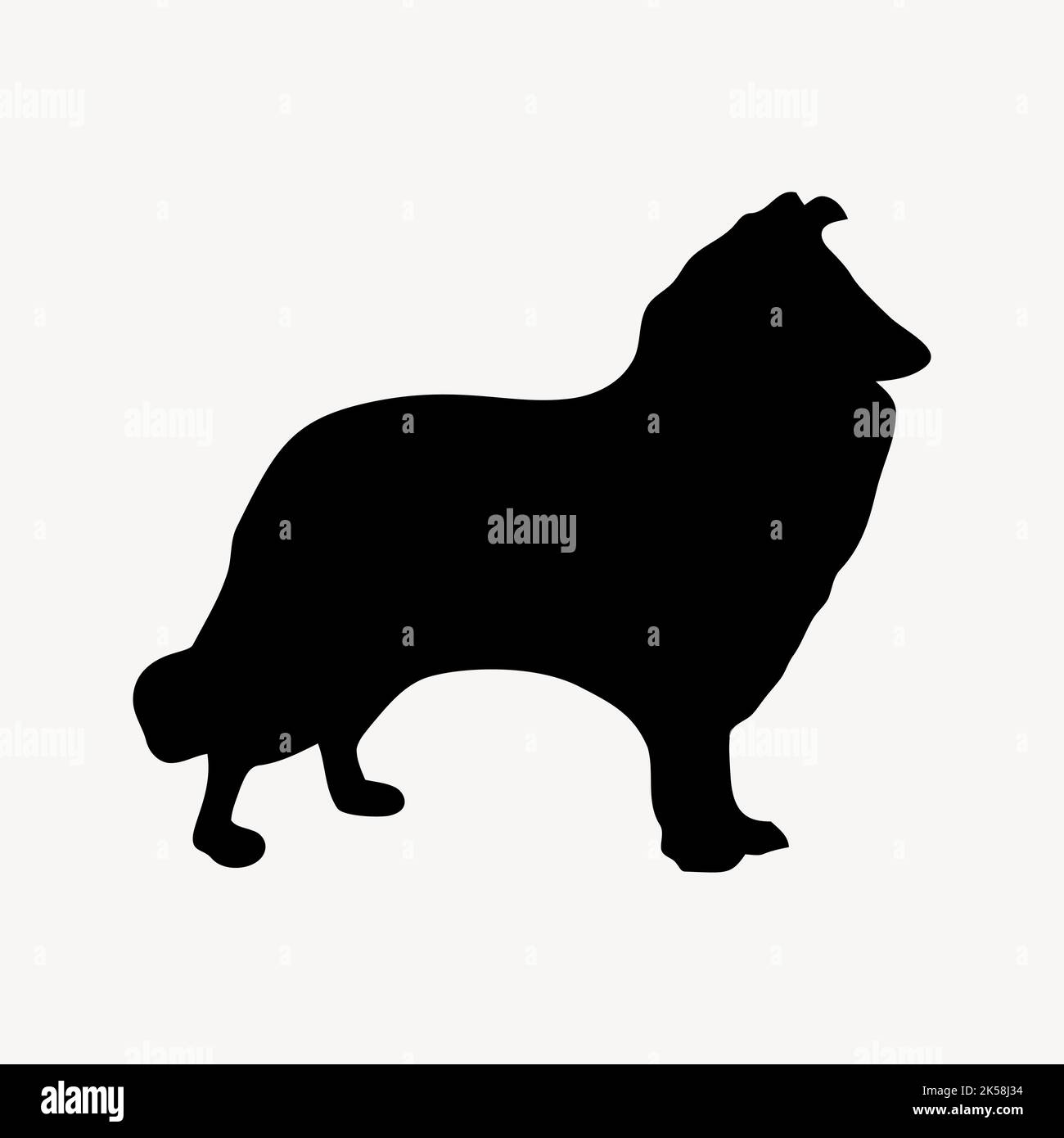 Rough Collie dog silhouette clipart, animal illustration in black ...