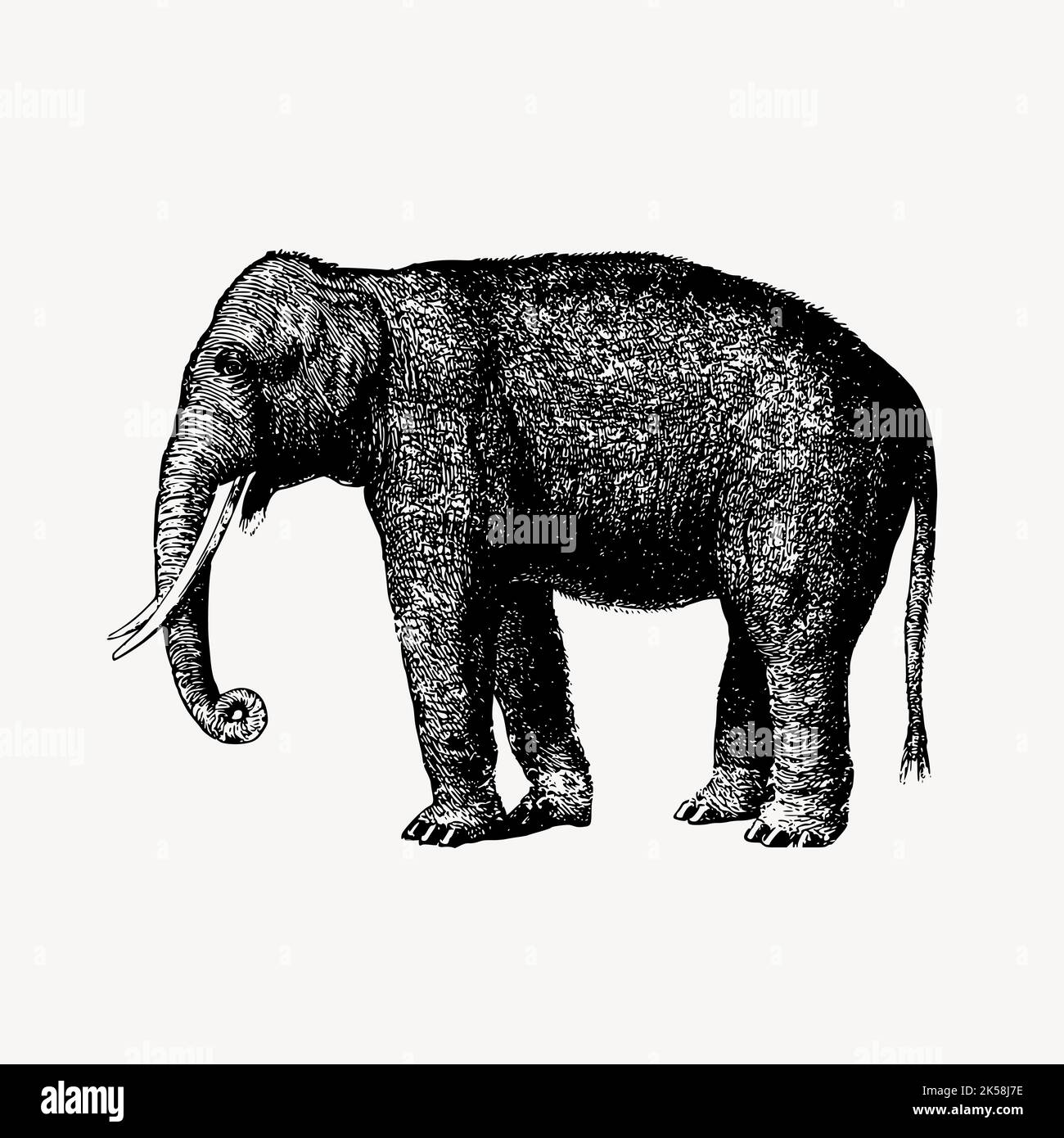 Vintage Elephant Clip Art