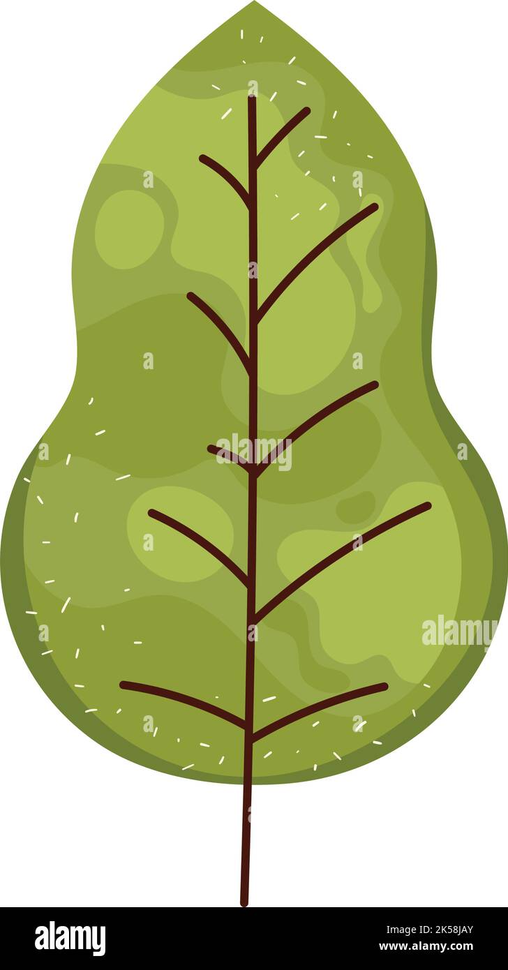 leaf plant foliage nature icon Stock Vector Image & Art - Alamy