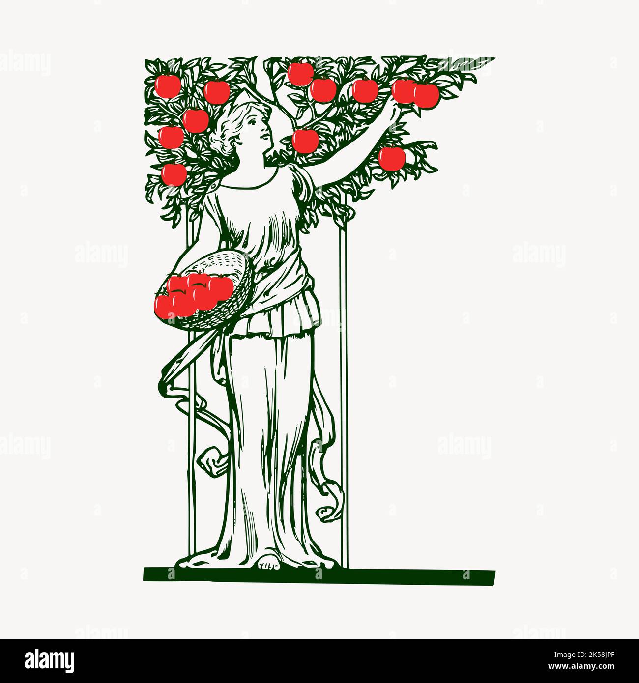 Woman picking apples collage element, vintage illustration vector Stock ... Woman picking apples collage element, vintage illustration vector Stock ...