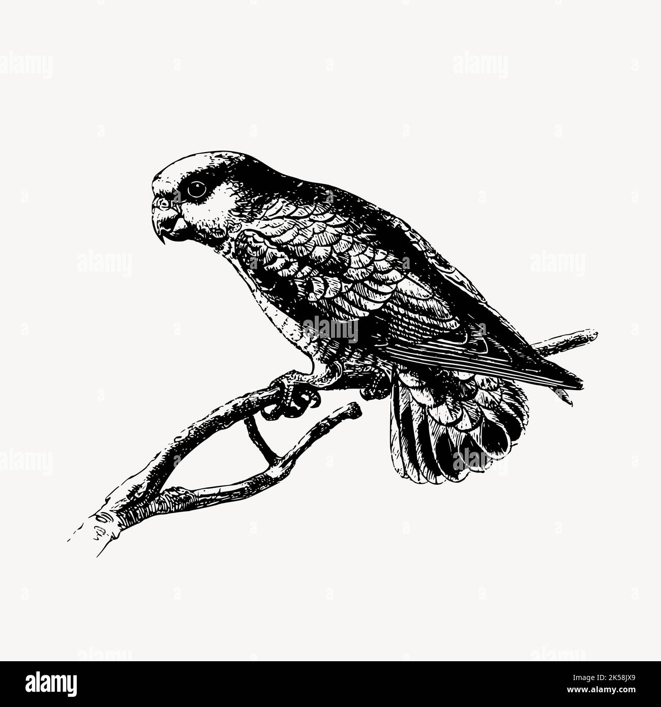 Vintage Bird Clipart