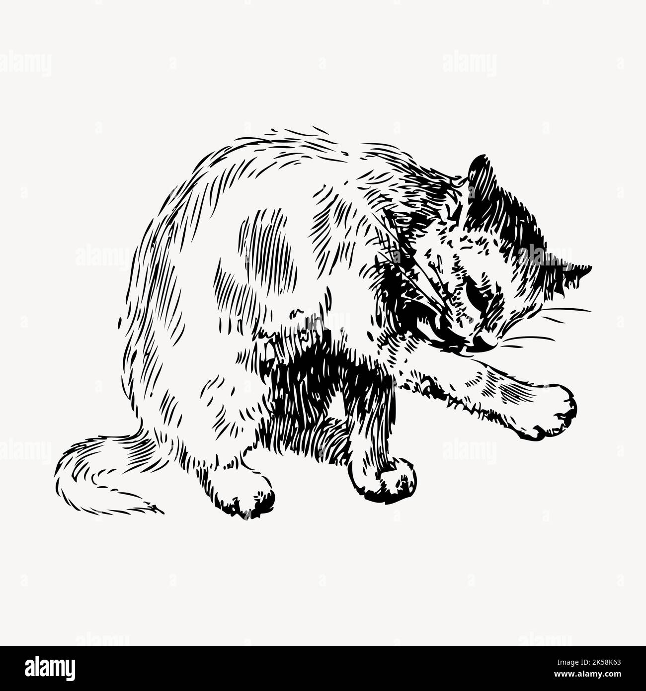 Cat drawing, vintage animal illustration vector Stock Vector Image ...