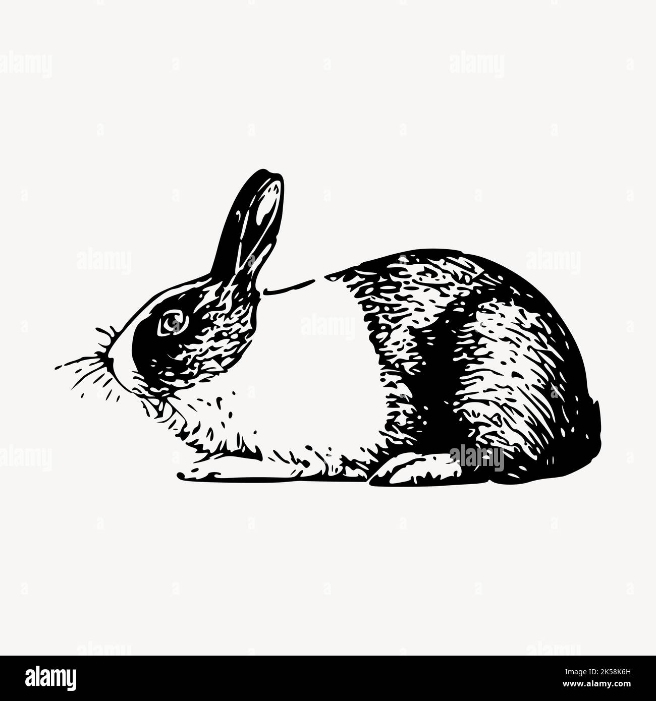 Rabbit drawing, vintage animal illustration vector Stock Vector Image ...