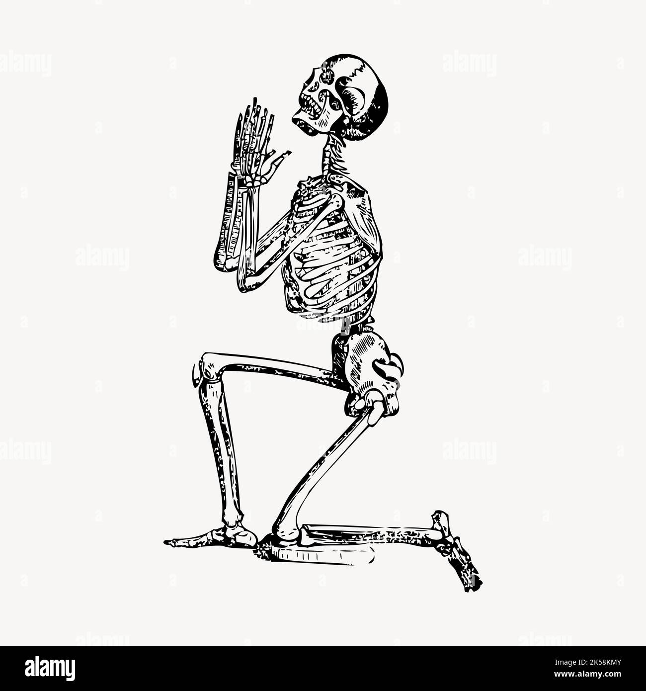 Begging skeleton drawing, vintage illustration vector Stock Vector ...