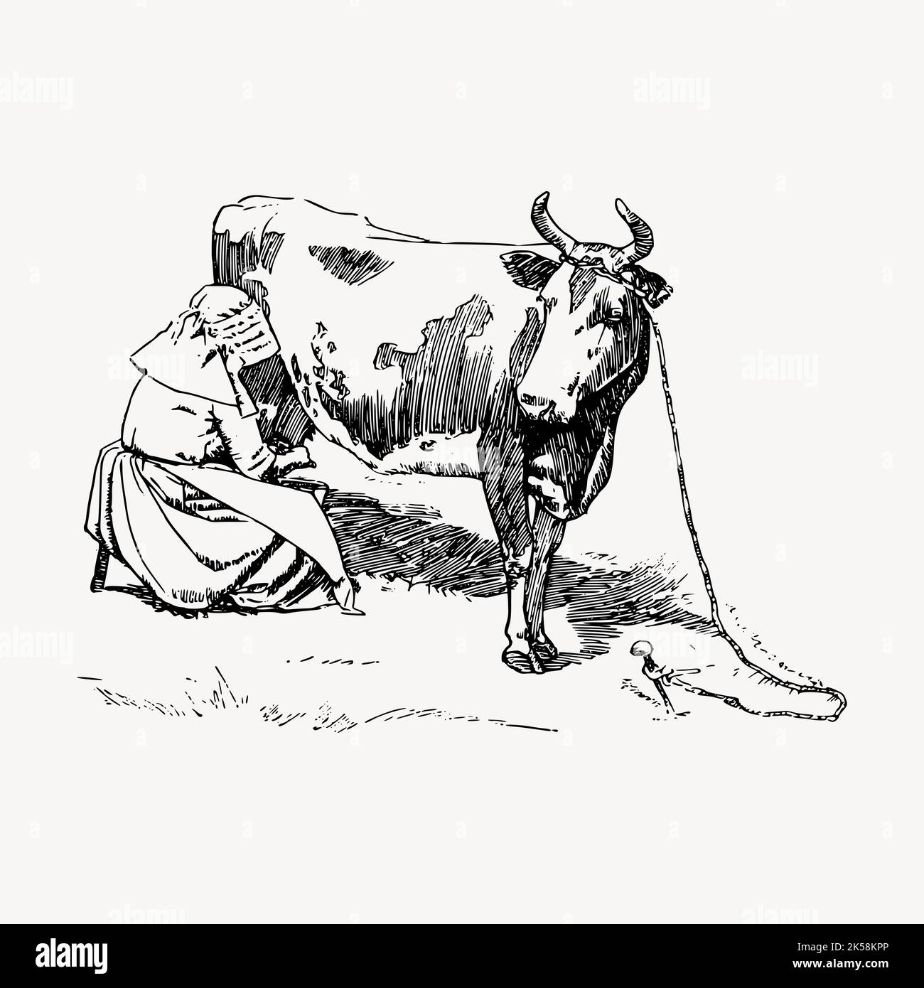 Woman Milking Cow Drawing Vintage Illustration Vector Stock Vector