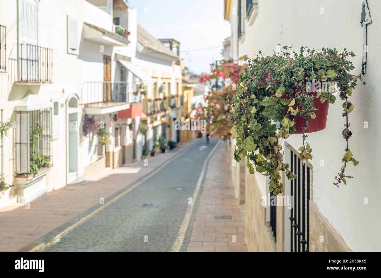 Narrow streets in the center of Estepona, typical Andalusian town, with ...