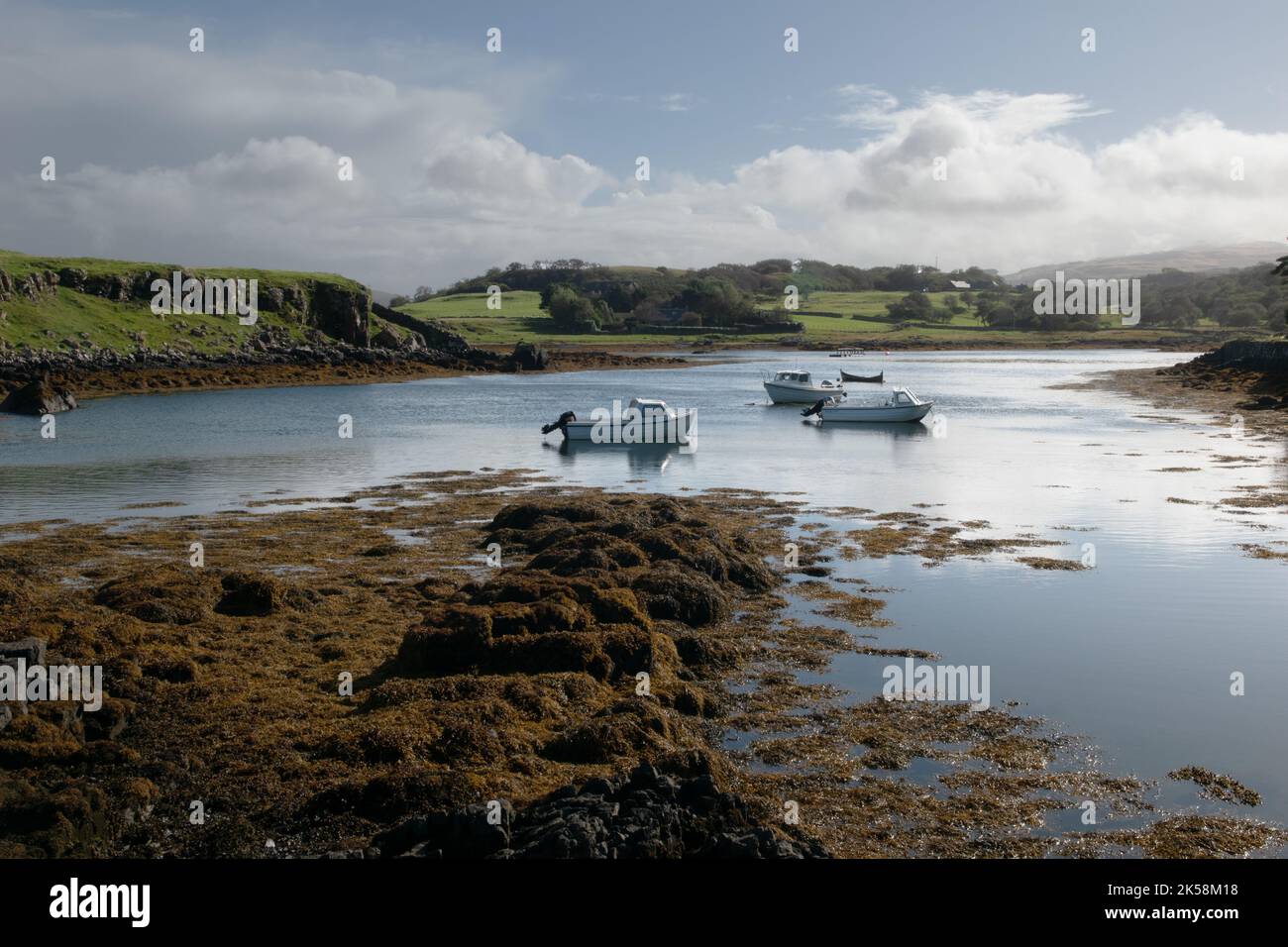 The Harbour at Croig, Isle of Mull, Scotland, UK Stock Photo - Alamy
