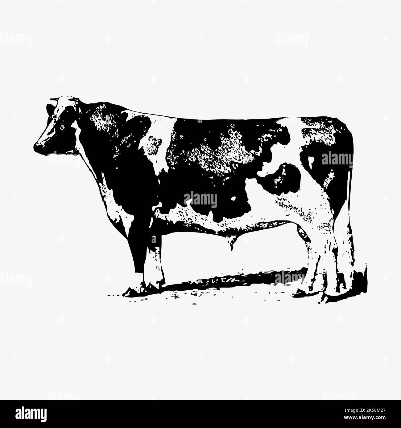 Cow bull drawing, farm animal illustration vector Stock Vector Image ...