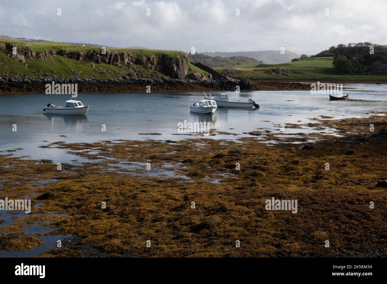 The Harbour at Croig, Isle of Mull, Scotland, UK Stock Photo - Alamy