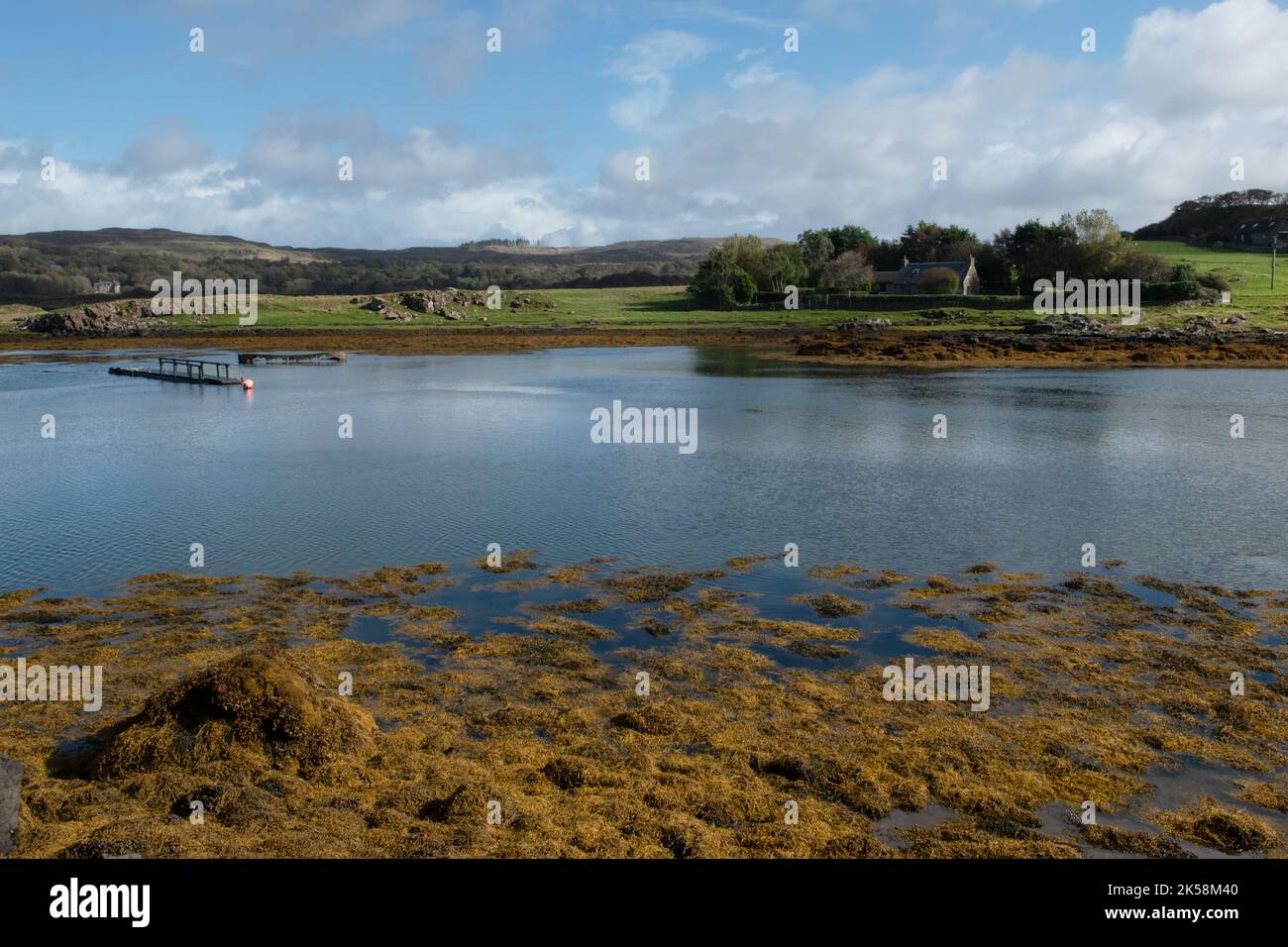 Coastal Inlet at Croig, Isle of Mull, Scotland, UK Stock Photo - Alamy