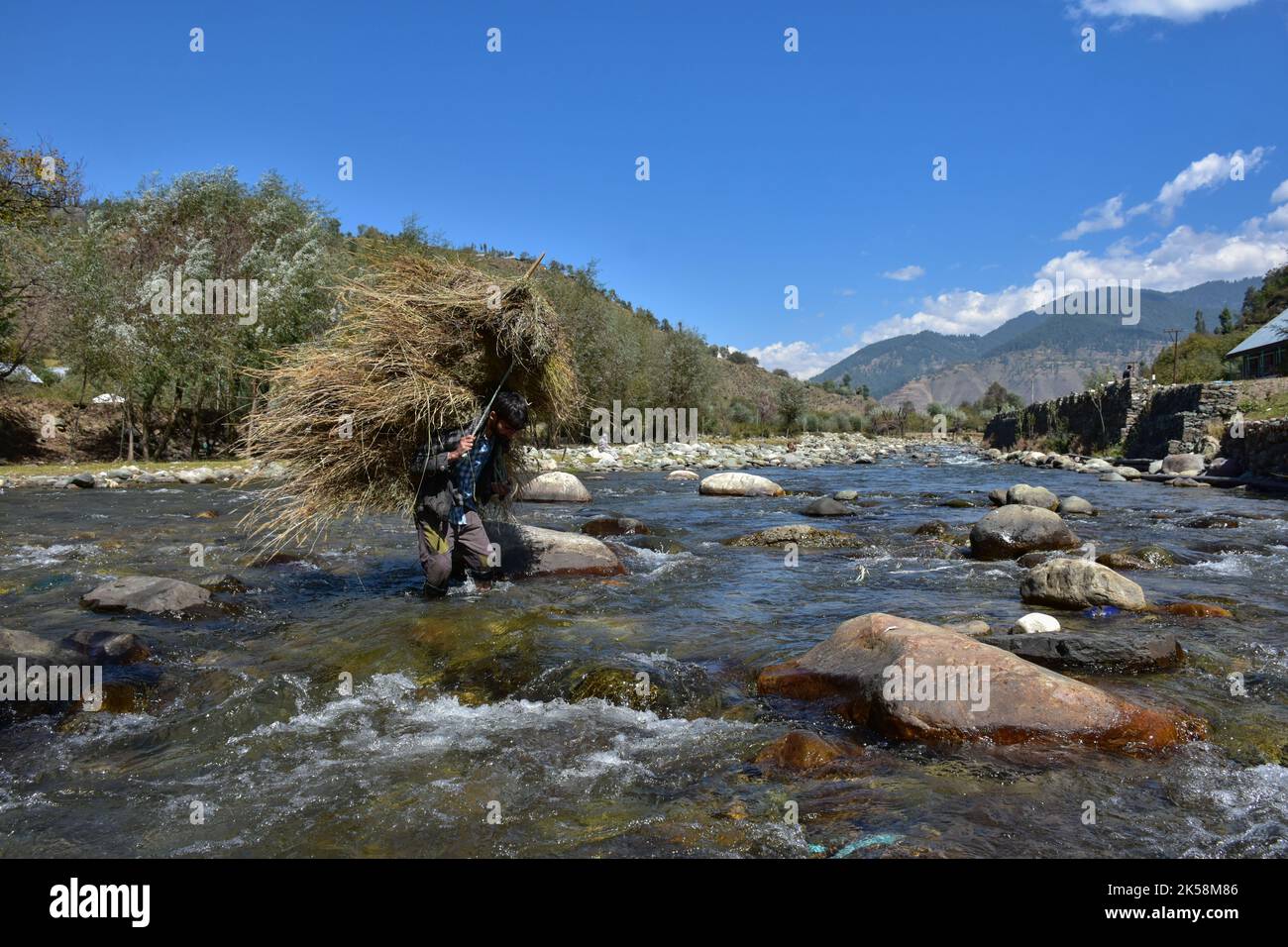 A Kashmiri farmer carries a lump of grass as he crosses the stream on a ...