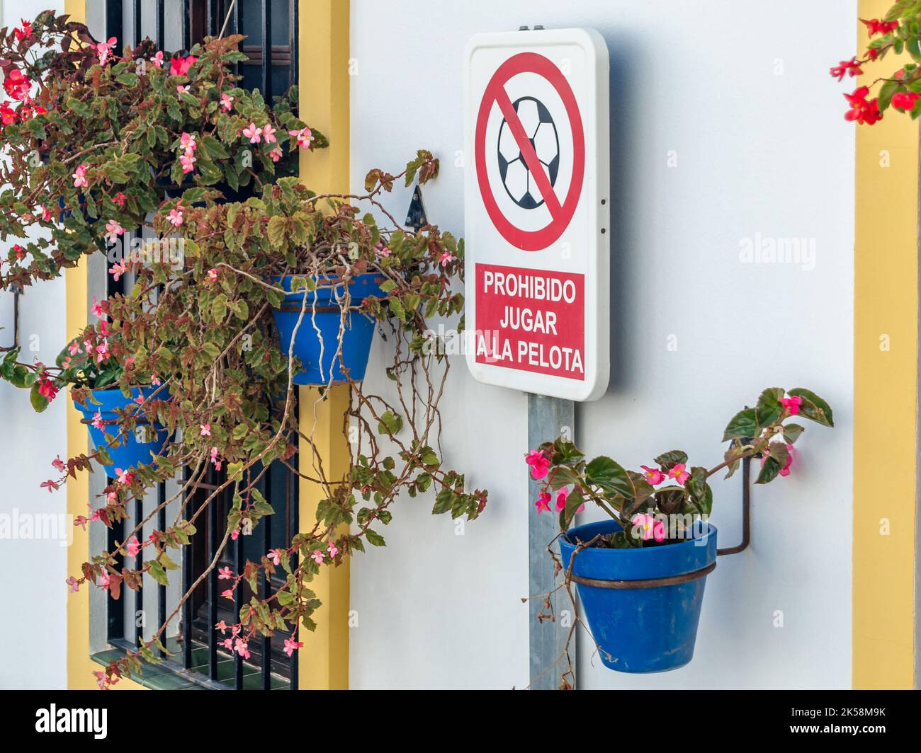 Sign that prohibits playing ball in a town in Spain. Text translation ...