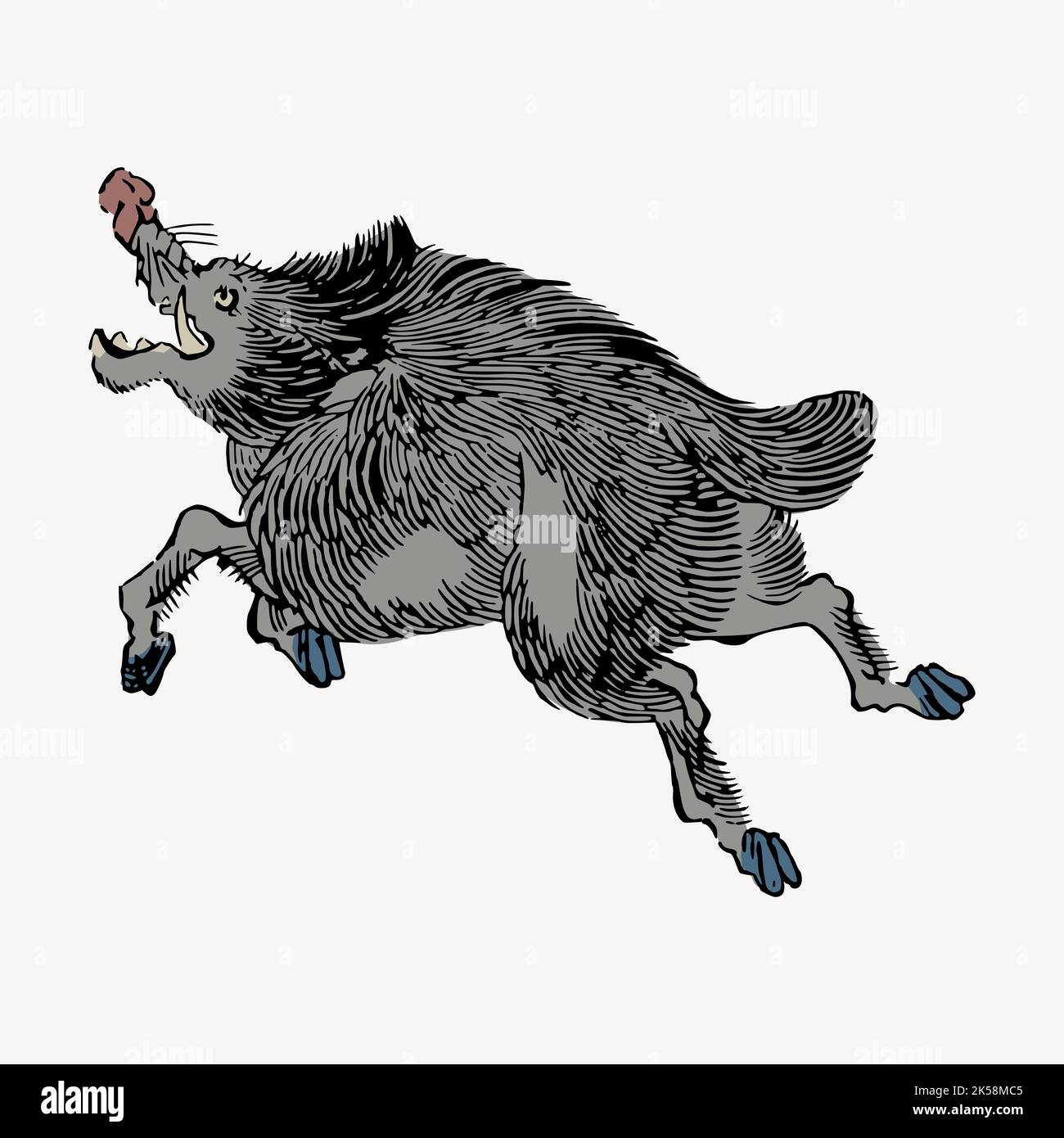 Wild boar collage element hi-res stock photography and images - Alamy