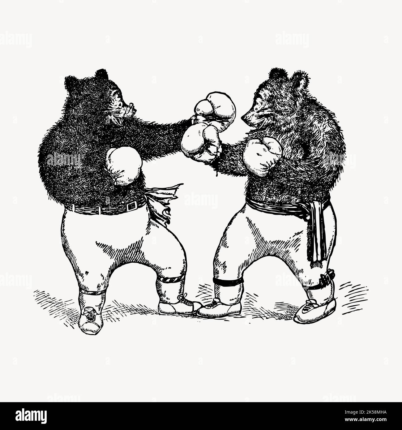 Boxing bears drawing, vintage animal illustration vector Stock Vector ...