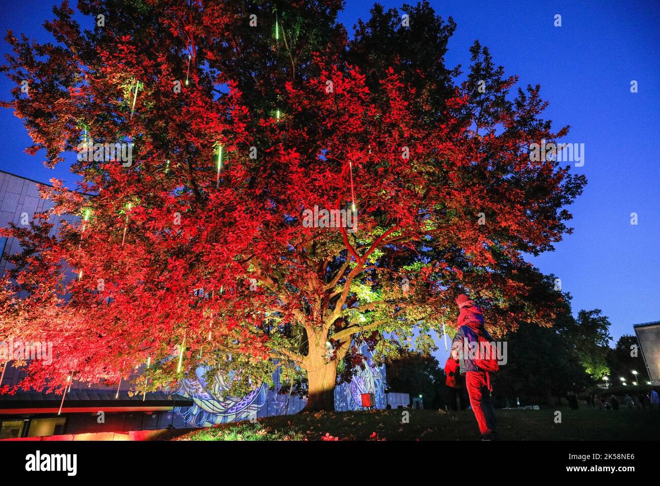 Essen, NRW, Germany. 06th Oct, 2022. The Tree of Wishes, a light ...