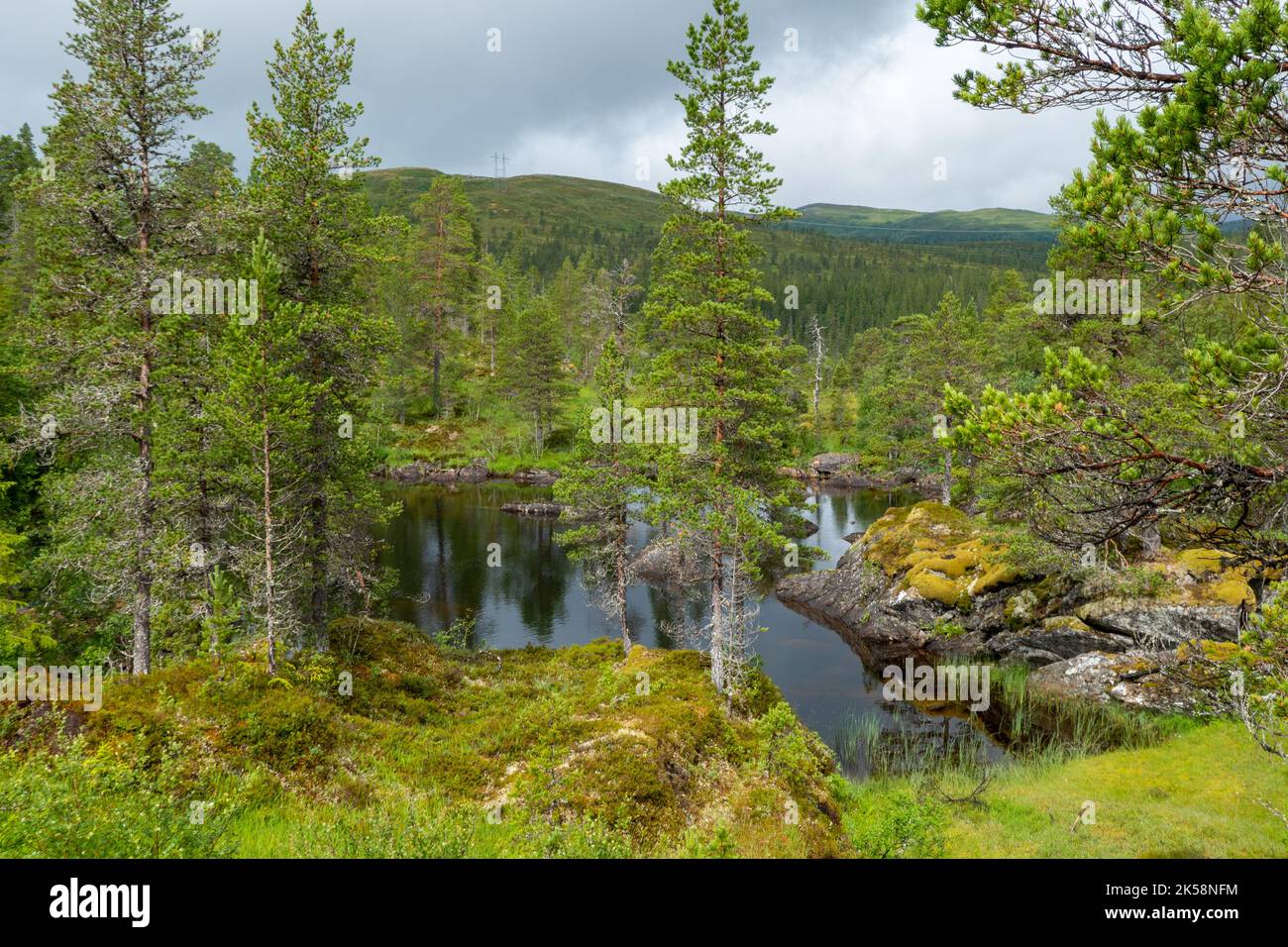 small lake in forest in Norway Stock Photo - Alamy