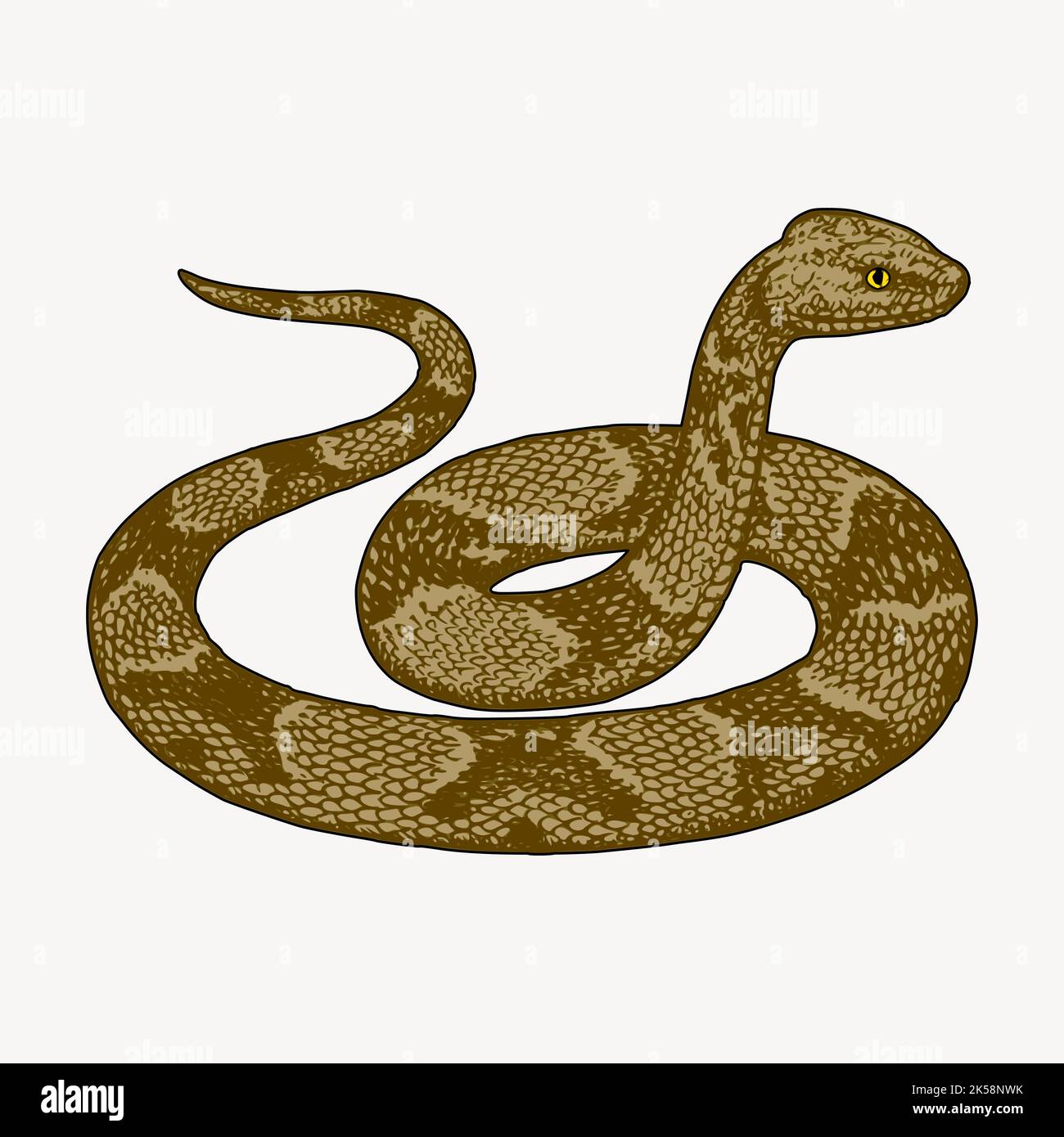 Snake collage element hi-res stock photography and images - Alamy
