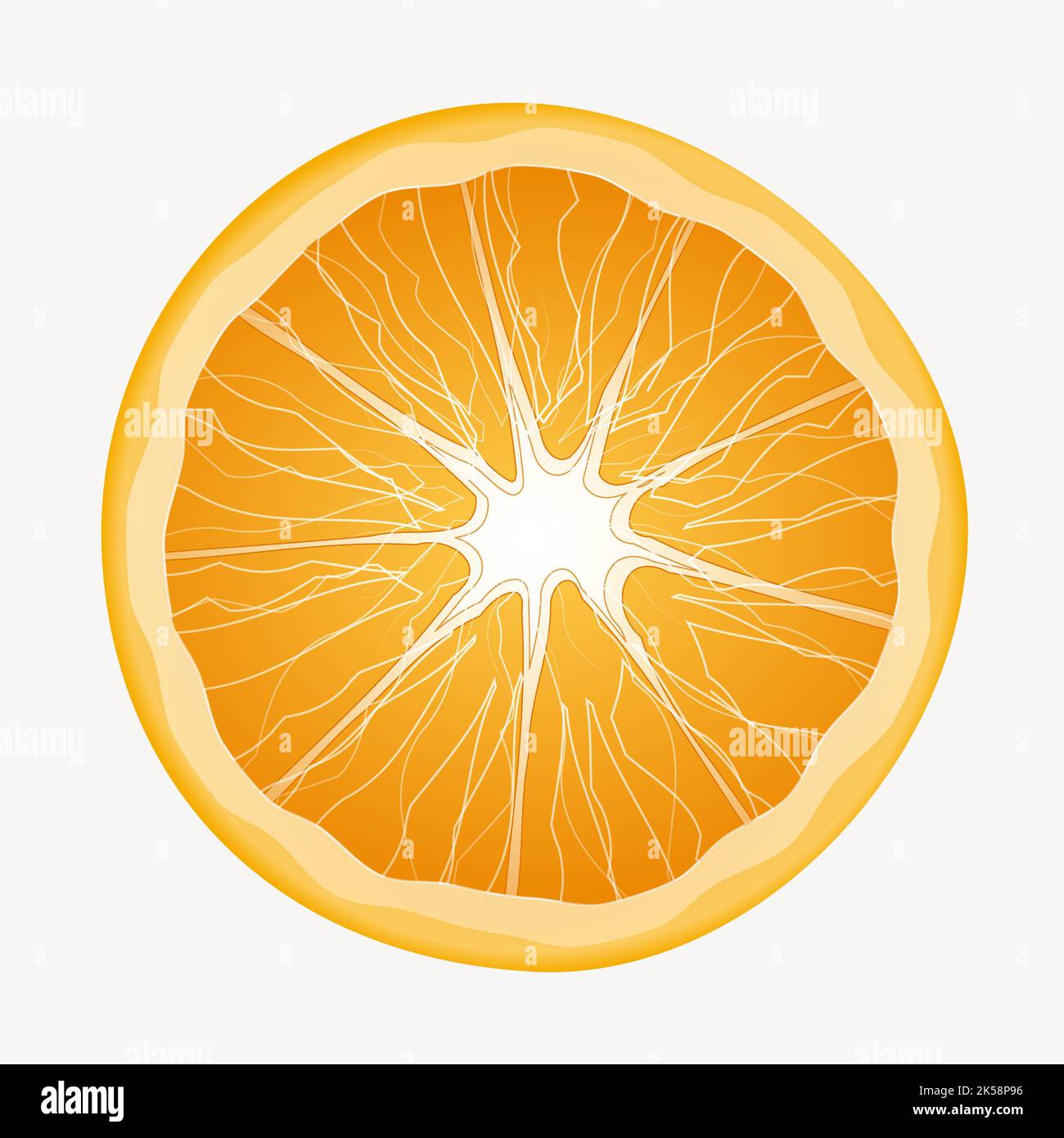 Half orange clipart, illustration vector Stock Vector Image & Art - Alamy