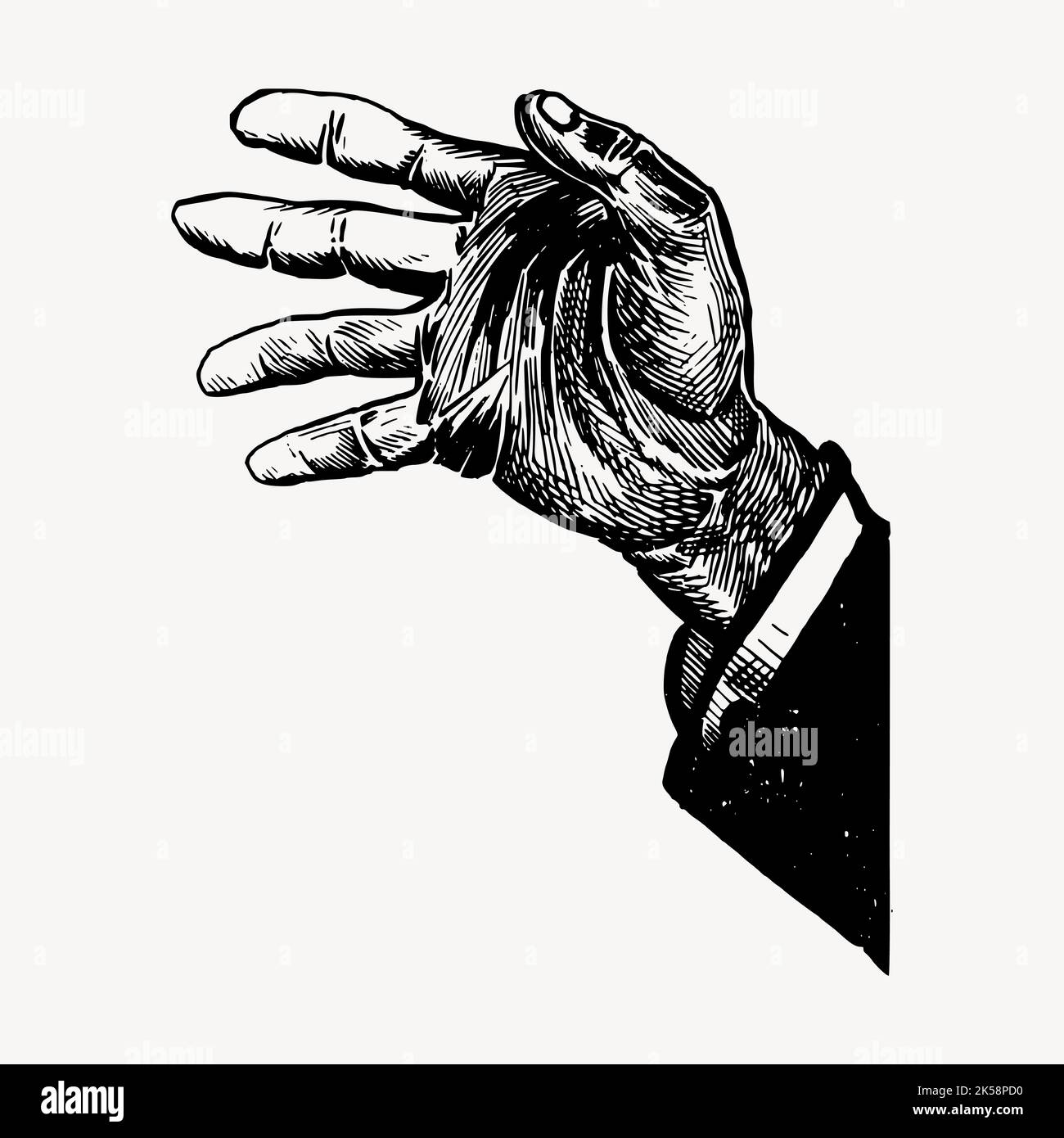 Businessman's palm drawing, vintage hand illustration vector Stock ...