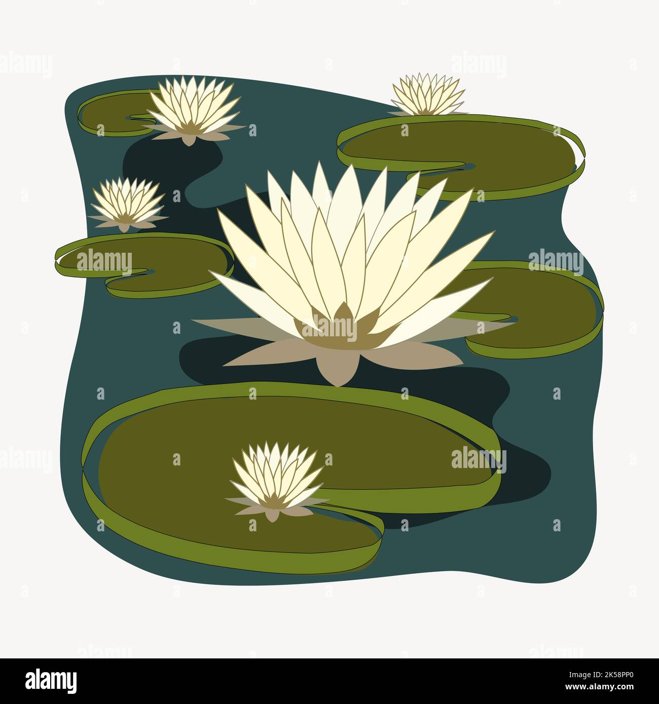 White water lilies clipart, flower illustration vector Stock Vector Image & Art - Alamy