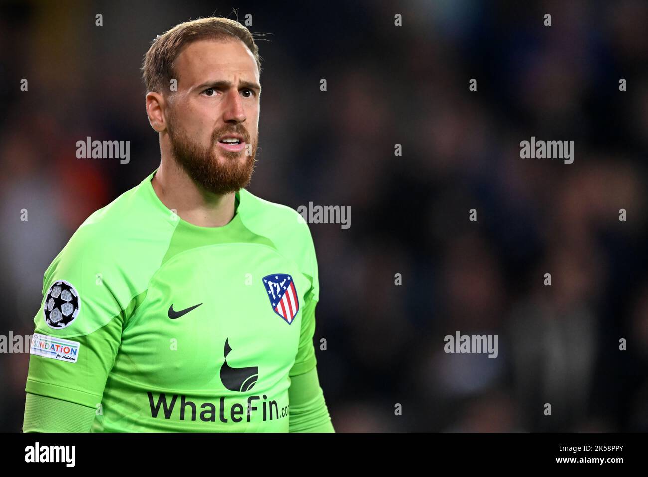 BRUGES - Club Atletico de Madrid goalkeeper Jan Oblak during the UEFA Champions League Group B ...