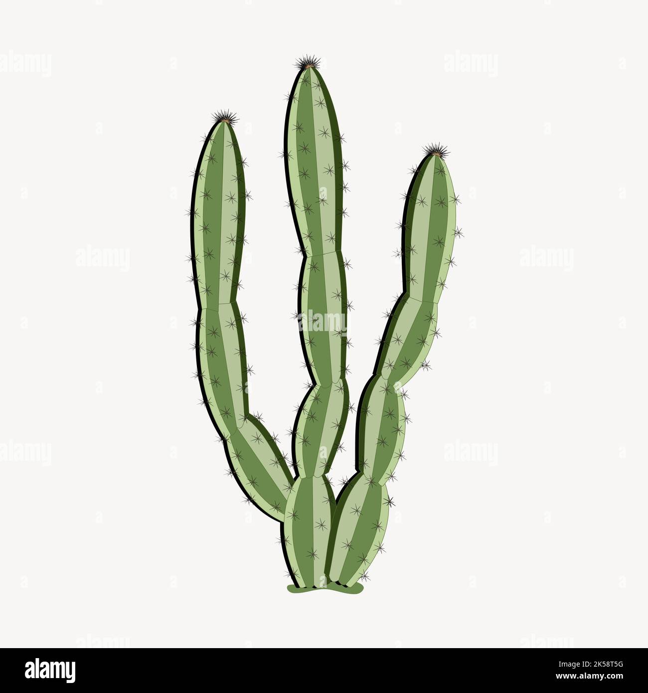 Cactus collage element, tree illustration vector Stock Vector Image ...