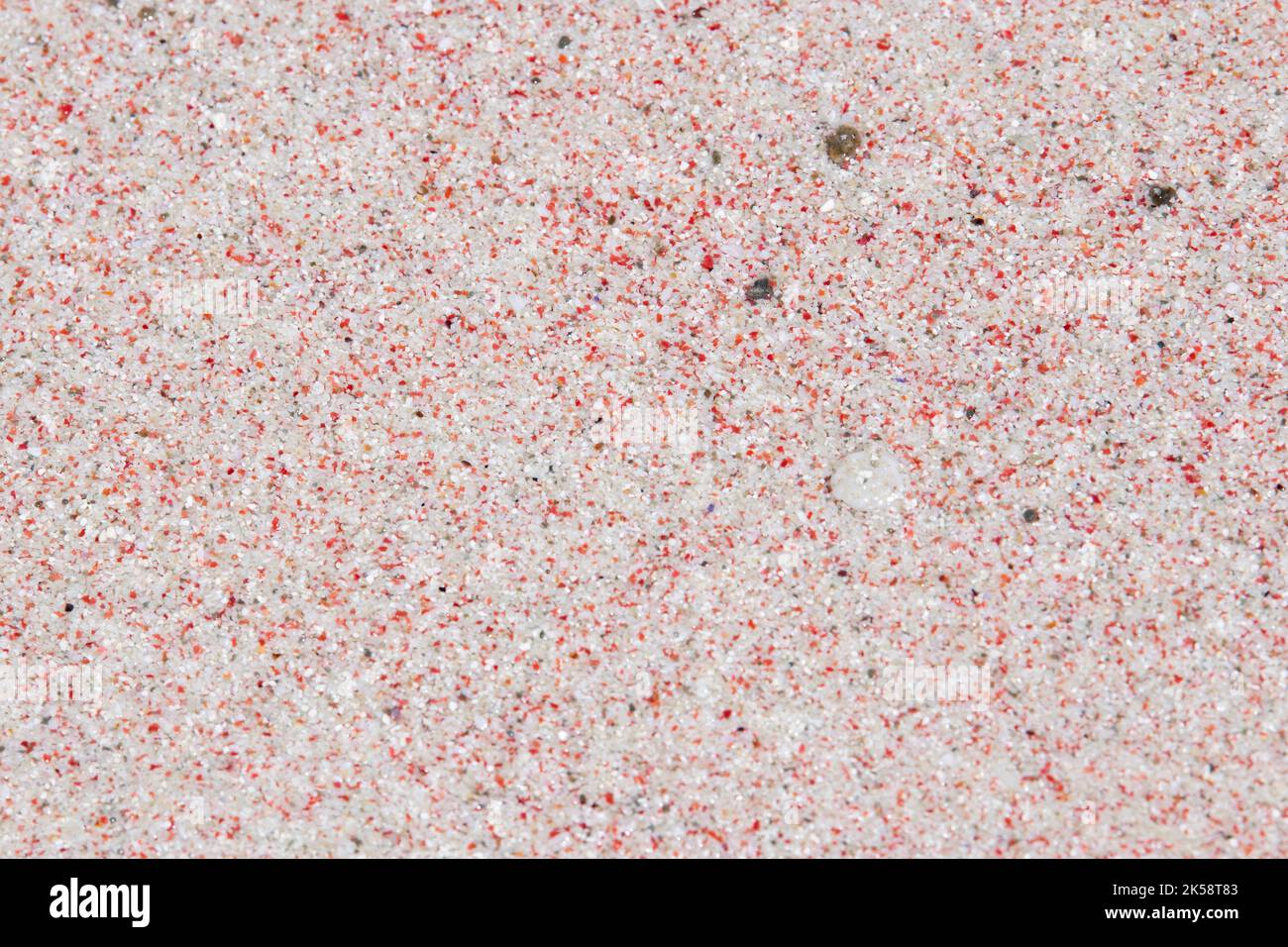 Indonesia, Komodo Island, Komodo National Park, Pink Beach. The beach ...