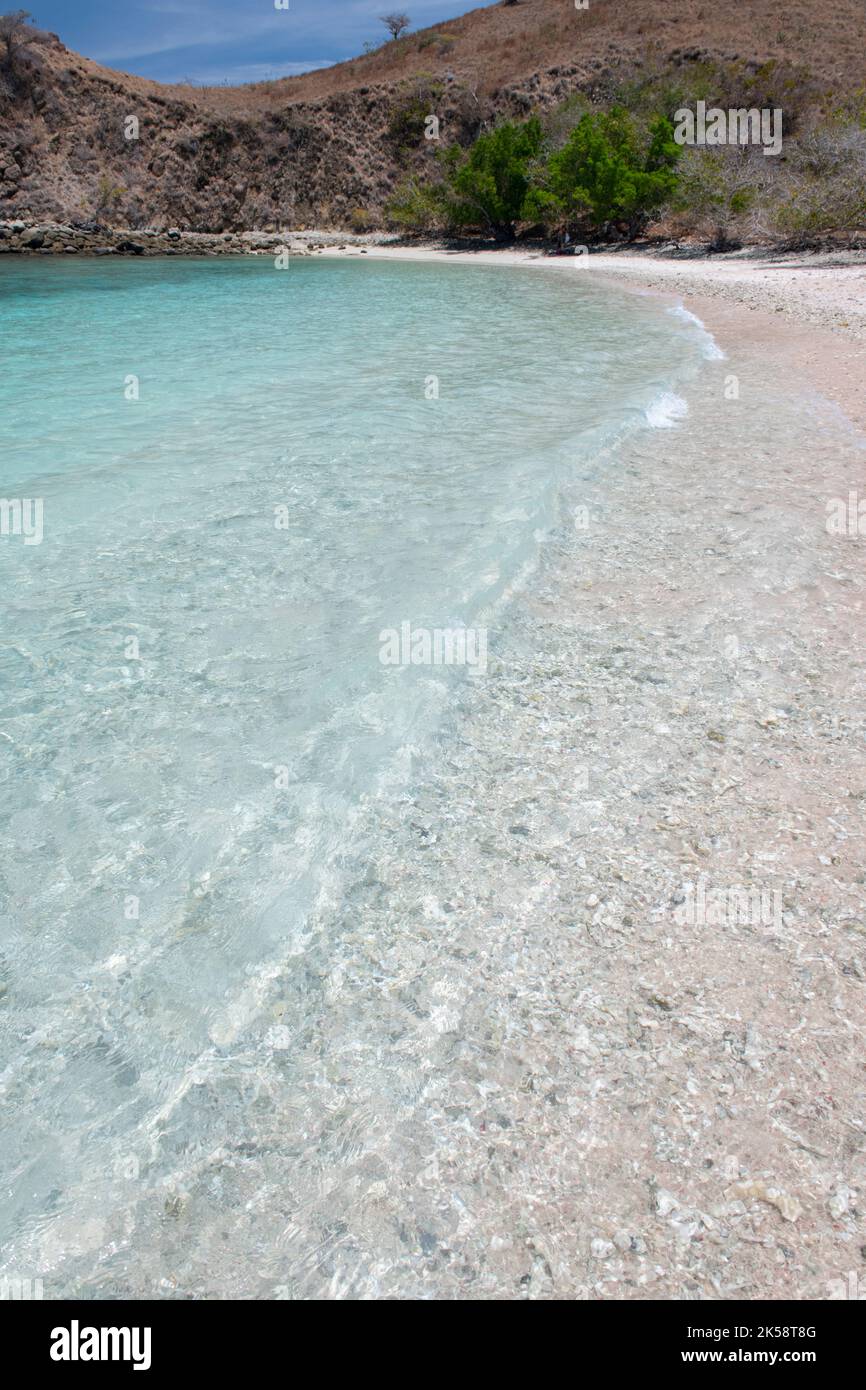 Indonesia, Komodo Island, Komodo National Park, Pink Beach. The beach ...