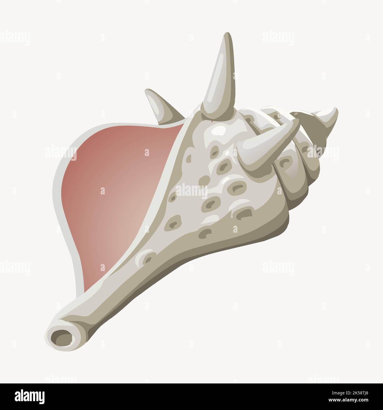 Conch clipart, seashell illustration vector Stock Vector Image & Art ...