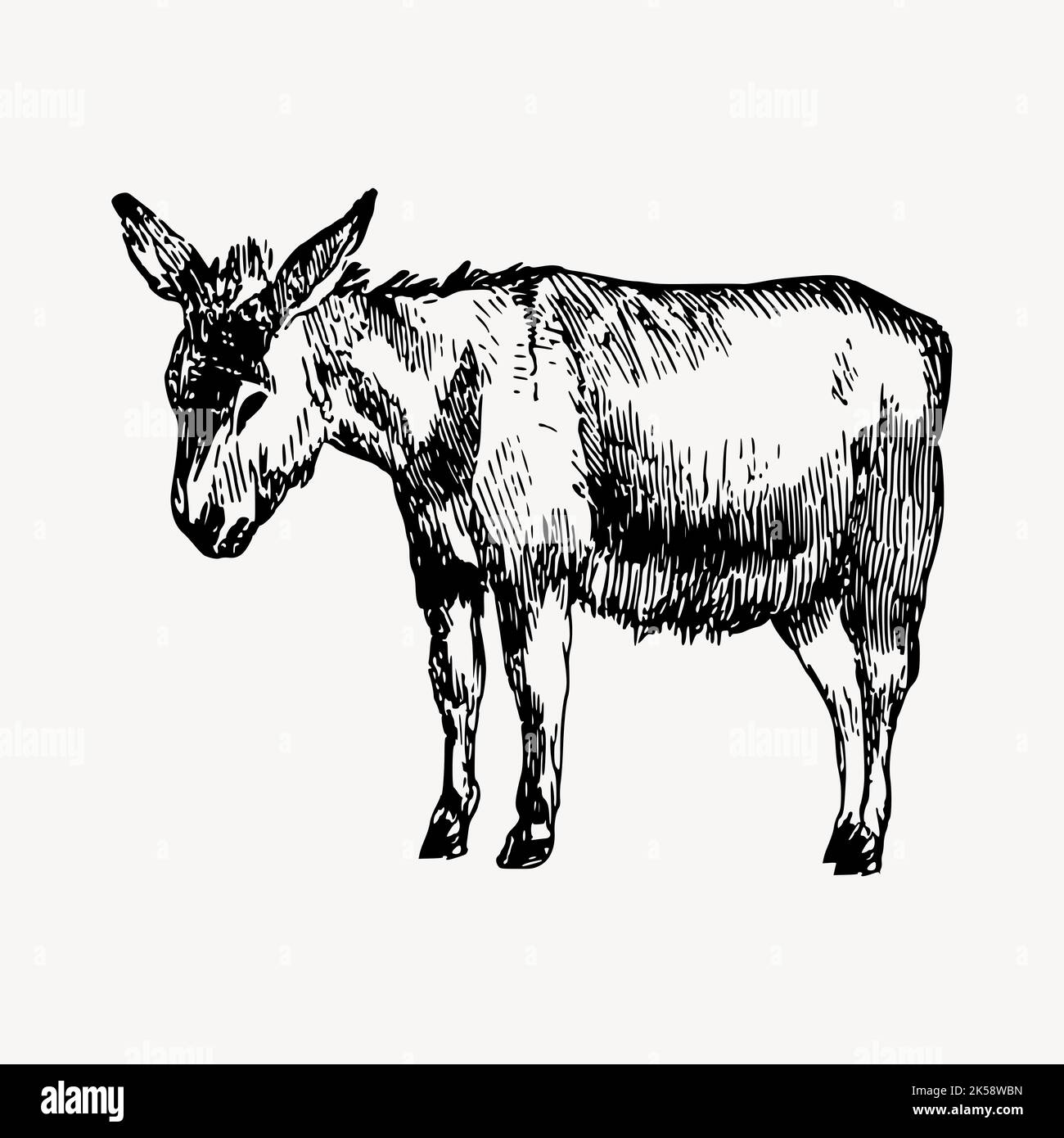 Donkey clipart, vintage farm animal illustration vector Stock Vector ...
