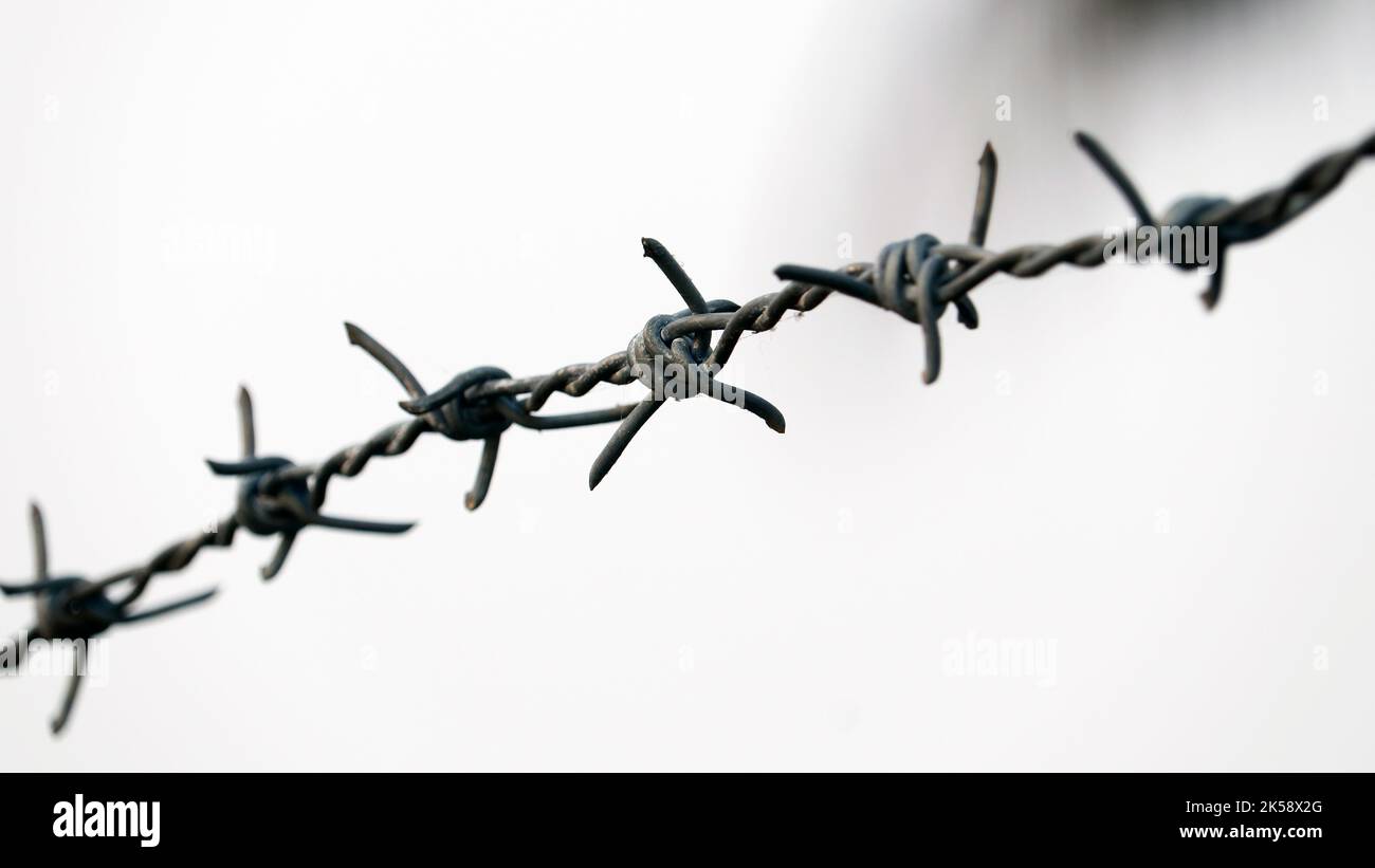Steel chain with spike for the fence normally for the safety and ...