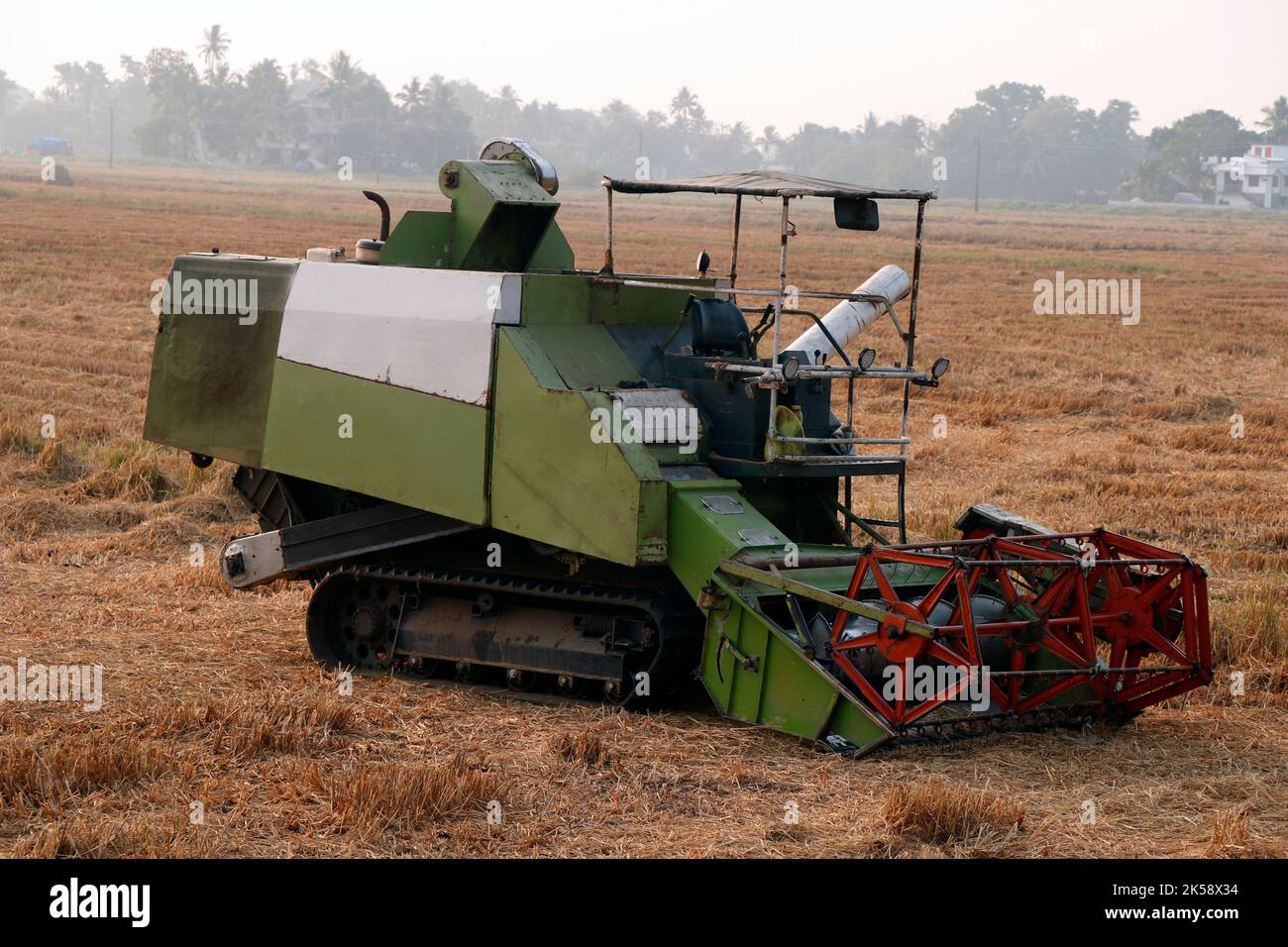 Rice crop harvesting industrial motor machine in a paddy field in india ...