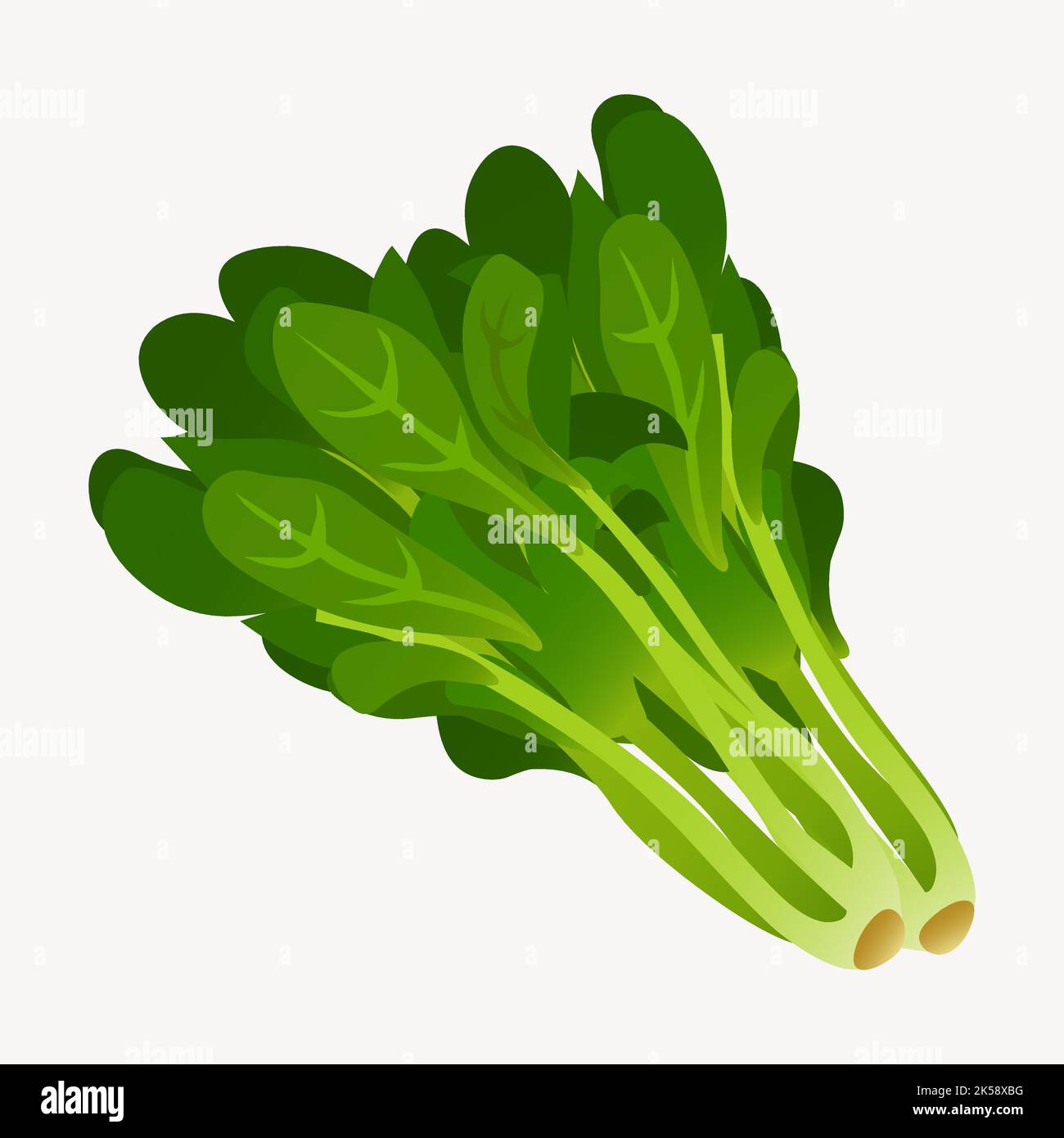 Spinach collage element, vegetable illustration vector Stock Vector ...