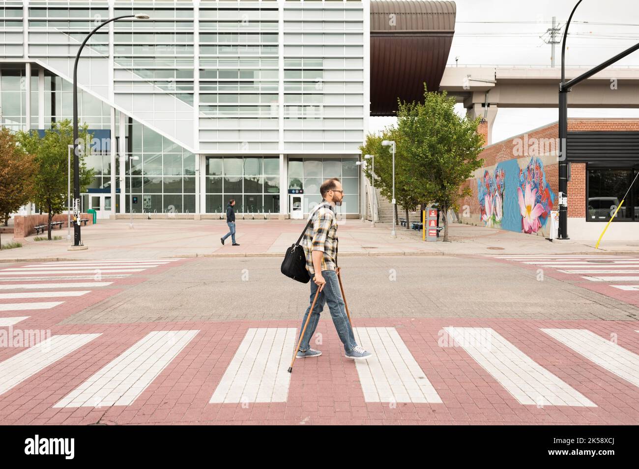 Man on zebra crossing hi-res stock photography and images - Alamy