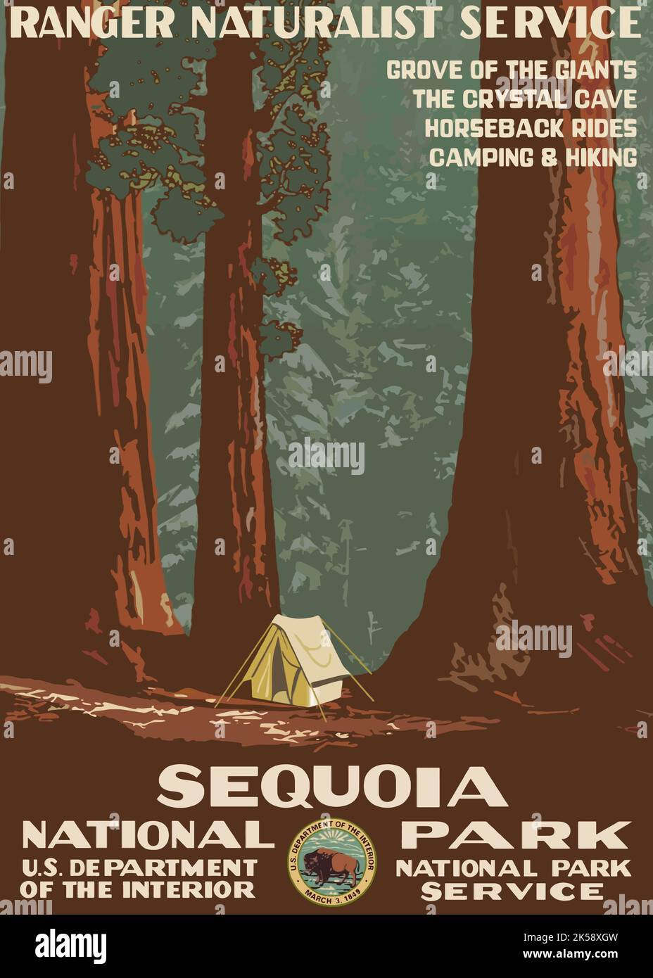 National park poster, camping illustration vector Stock Vector Image ...