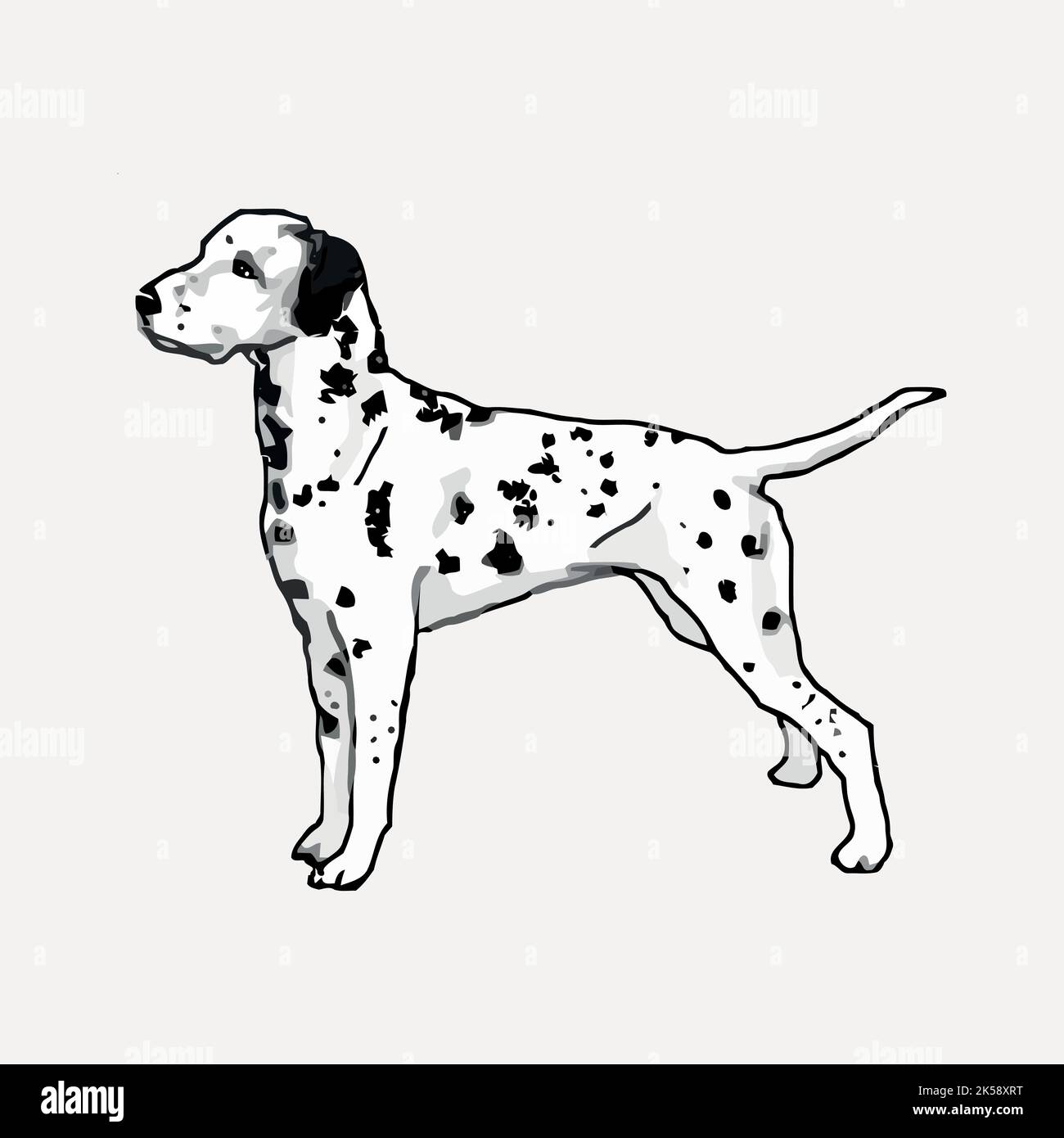 Dalmatian Dog Clip Art