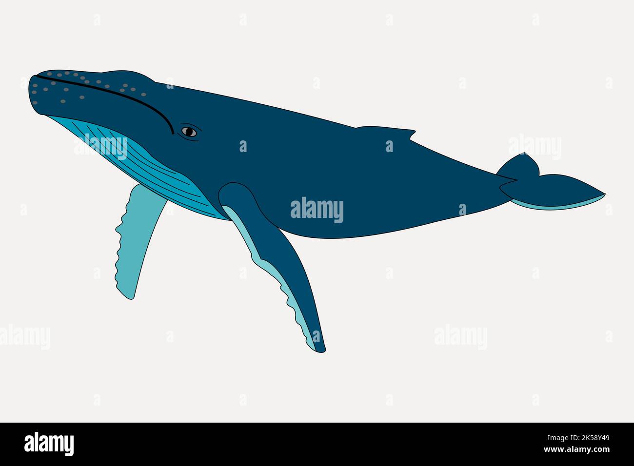 Whale clipart, sea animal illustration vector Stock Vector Image & Art ...