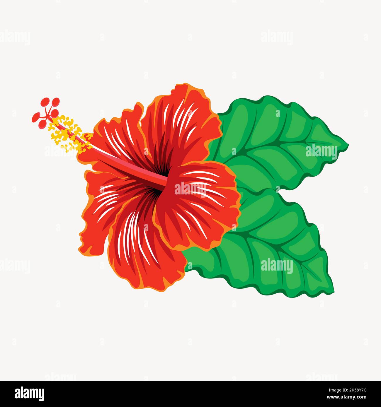 Red hibiscus sticker, flower illustration vector Stock Vector Image ...