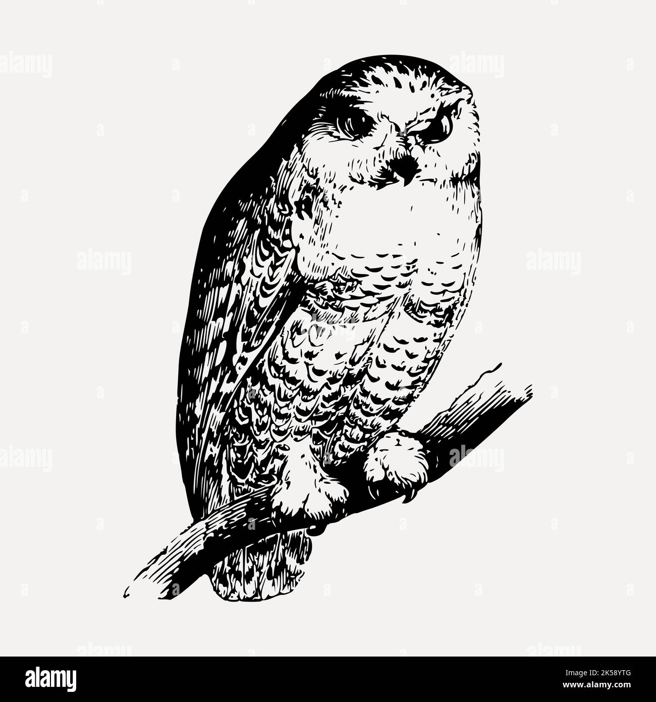 Winking Owl Clipart Image
