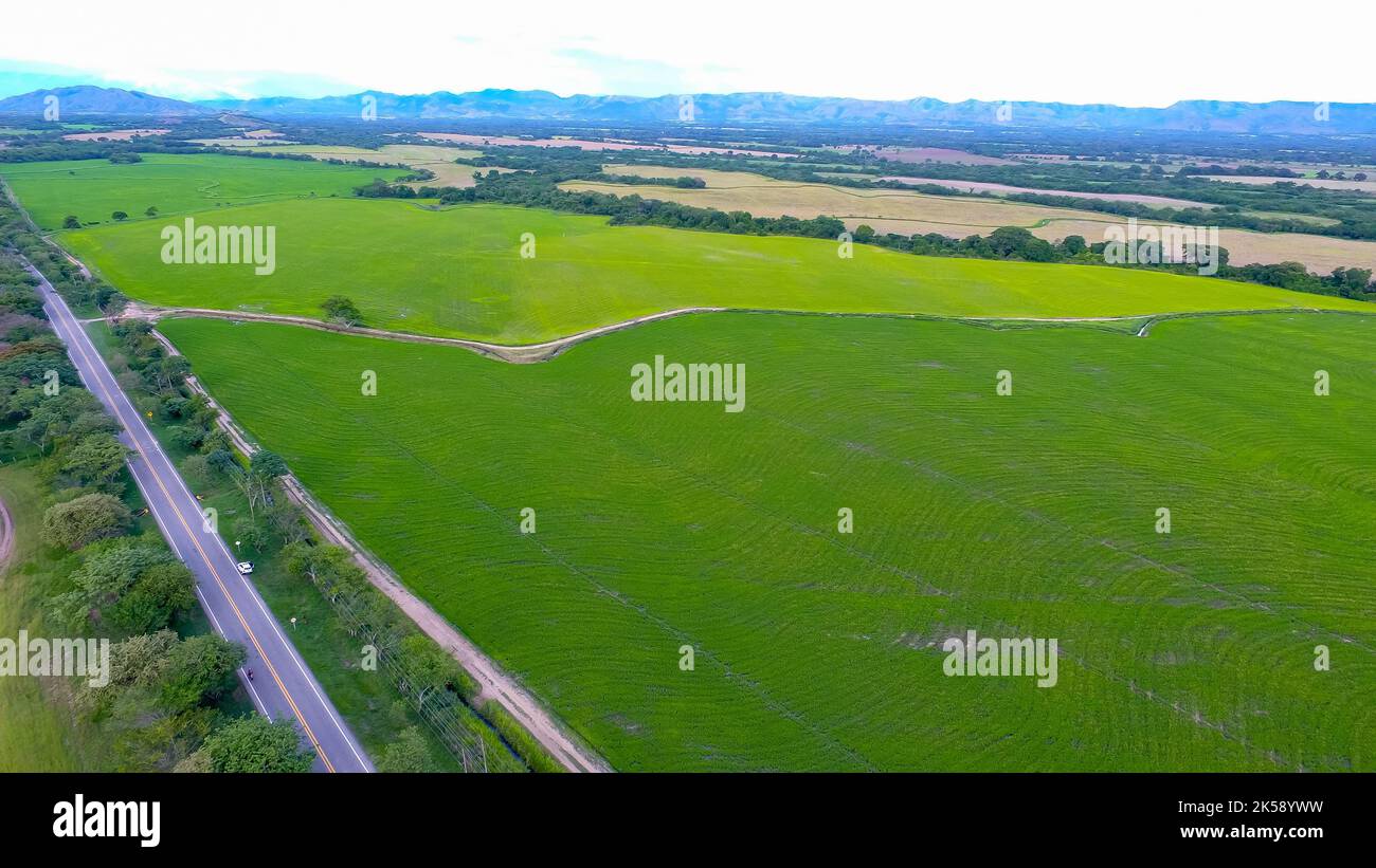 Rice farming colombia hi-res stock photography and images - Alamy