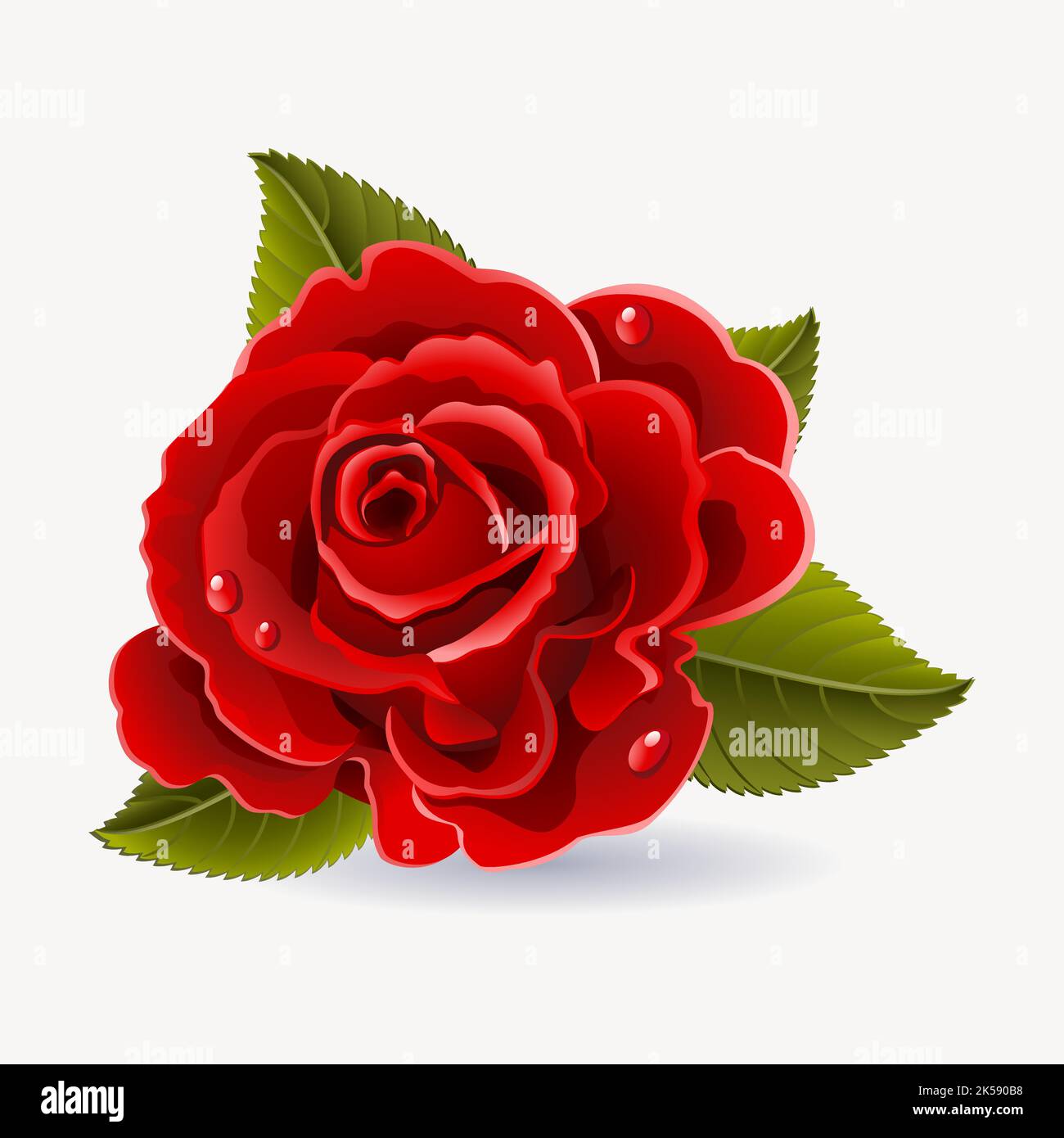Red rose sticker, valentine's day illustration vector Stock Vector ...