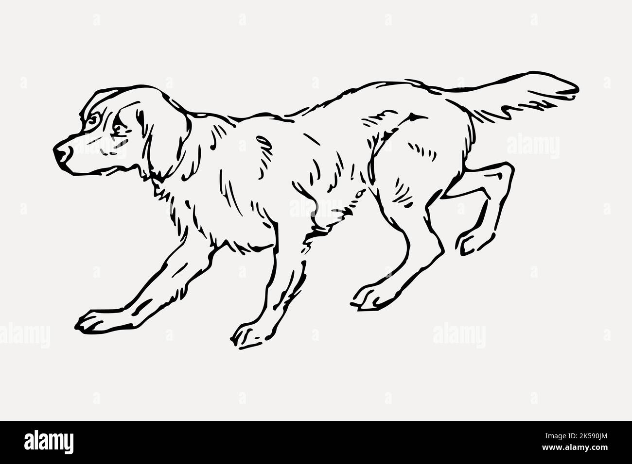 Scared dog clipart, vintage animal illustration vector Stock Vector ...