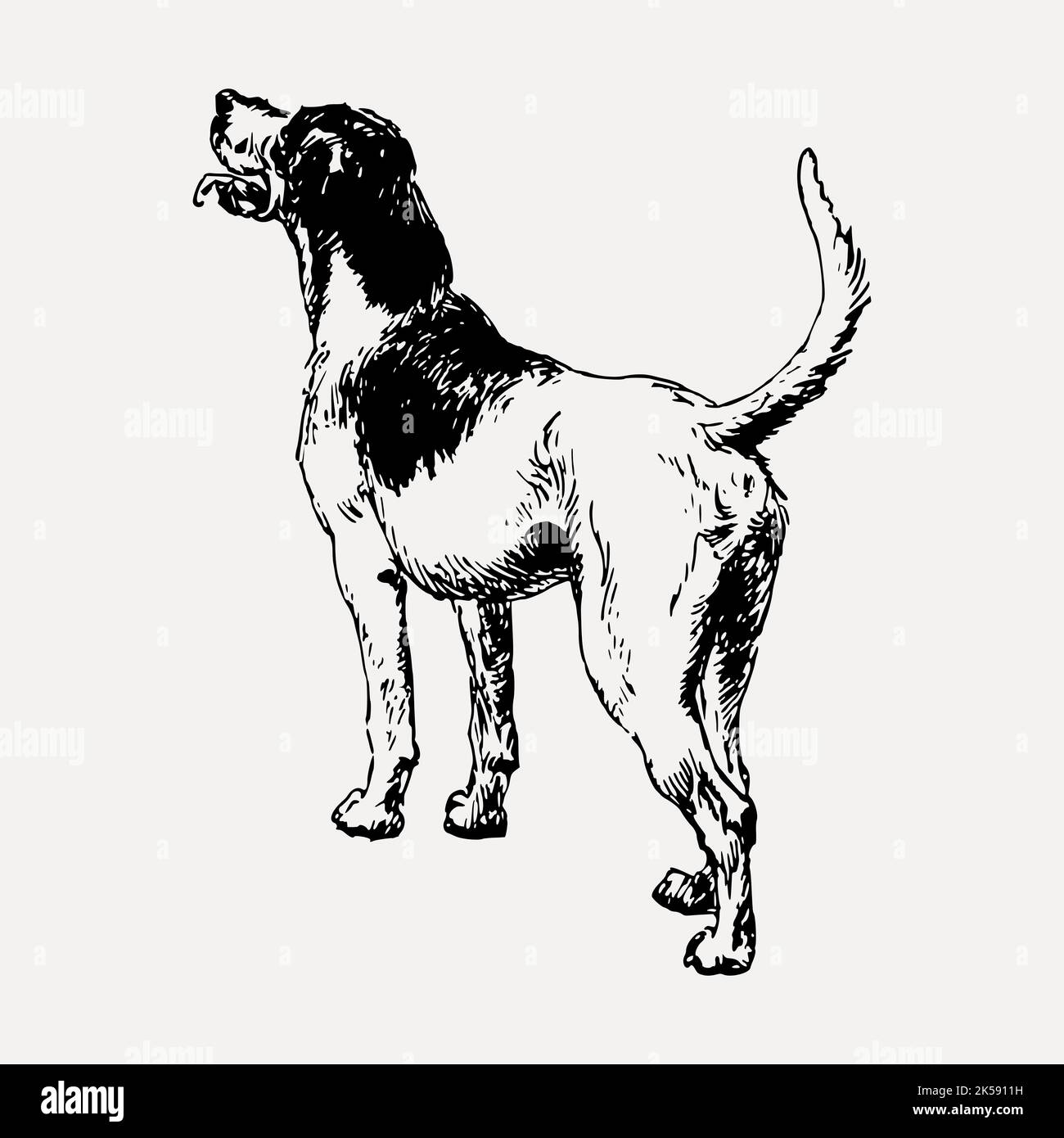 Playful dog clipart hi-res stock photography and images - Alamy