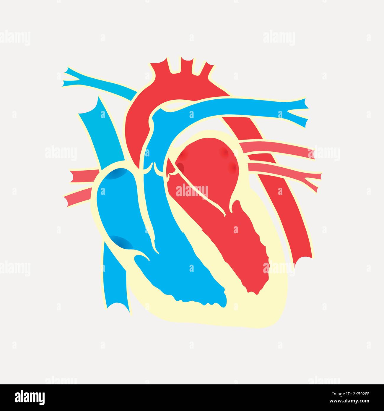 Heart diagram clipart hi-res stock photography and images - Alamy