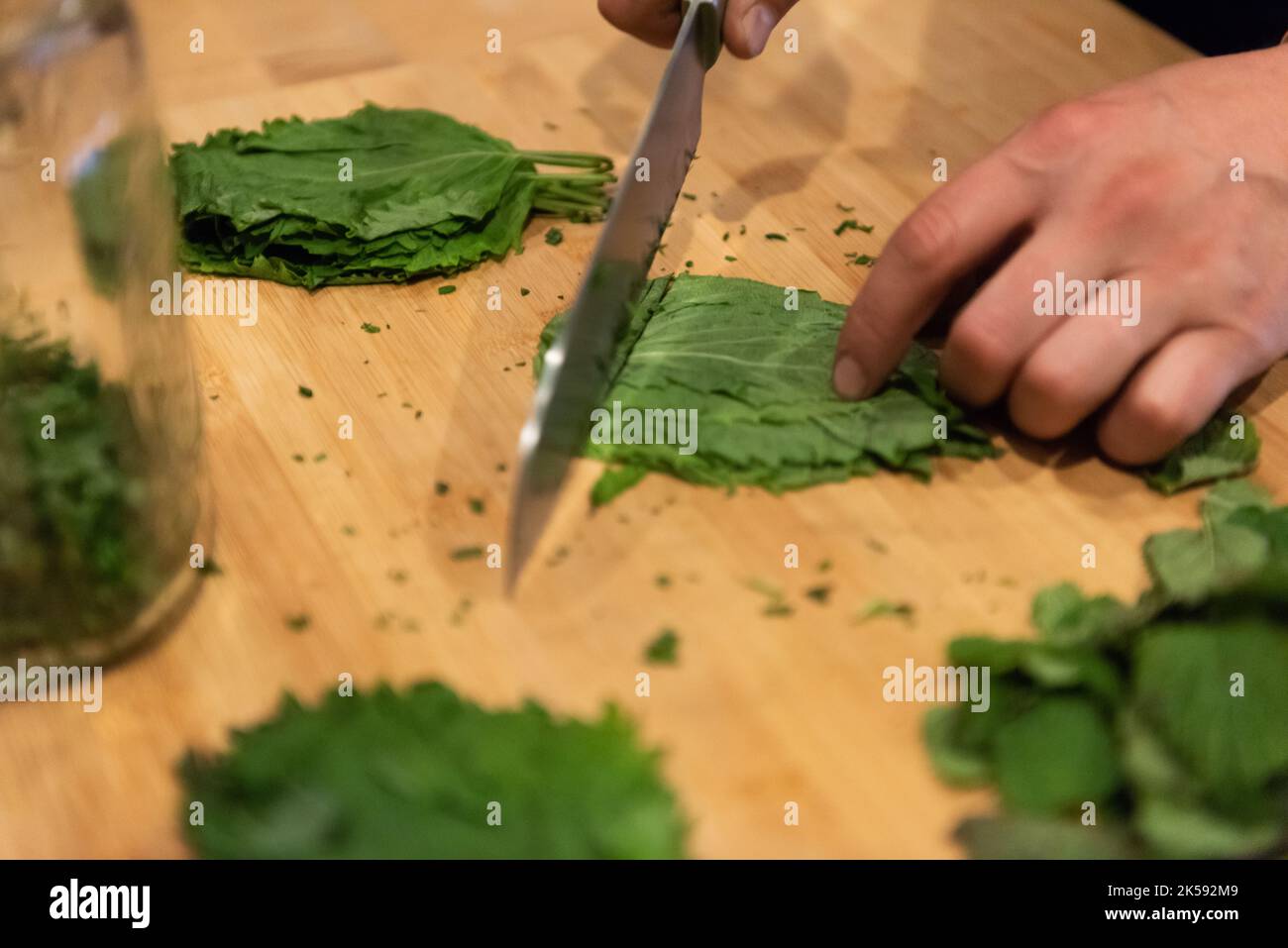 Shisho Leaves Being Chopped for Small Batch Brew Stock Photo - Alamy