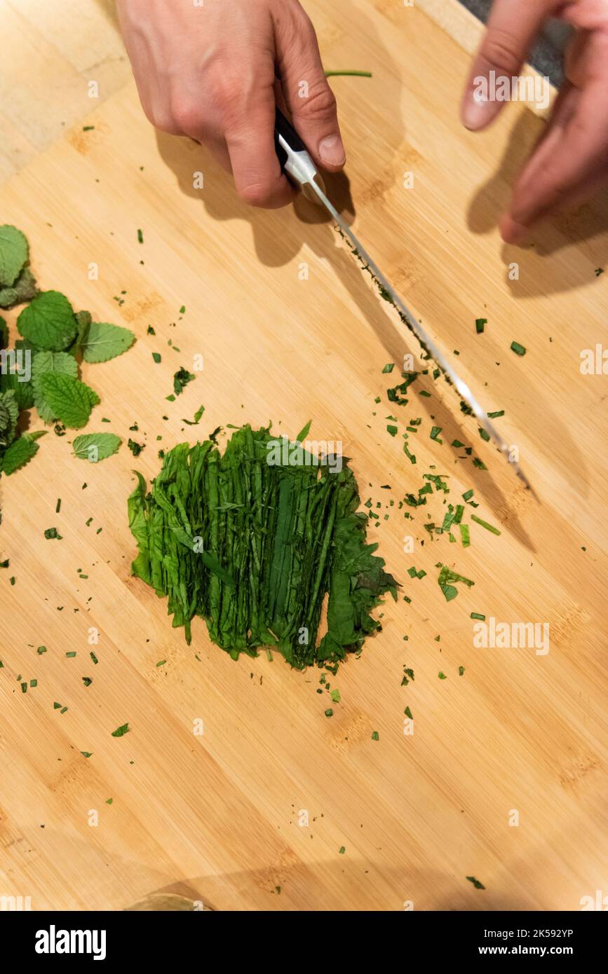 Shisho Leaves Being Chopped for Small Batch Brew Stock Photo - Alamy