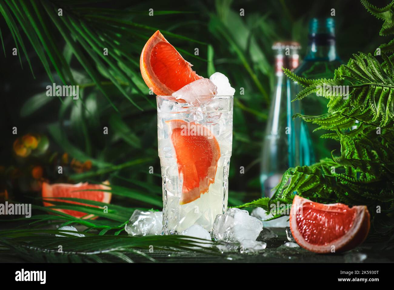 Gin bitter grapefruit long drink cocktail with dry gin, tonic, and ice ...