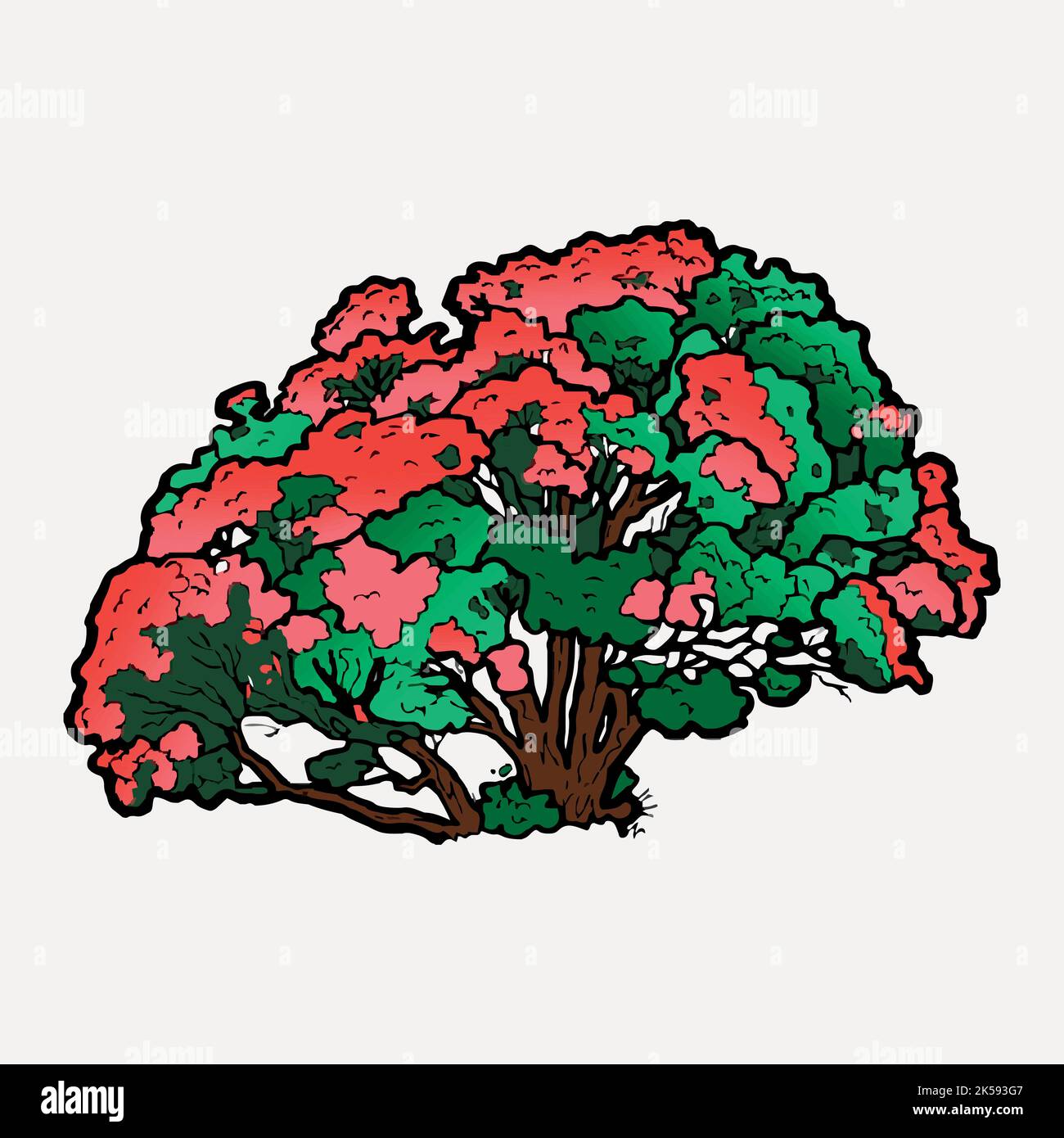 Pohutukawa tree clipart, botanical illustration vector Stock Vector ... Pohutukawa tree clipart, botanical illustration vector Stock Vector ...